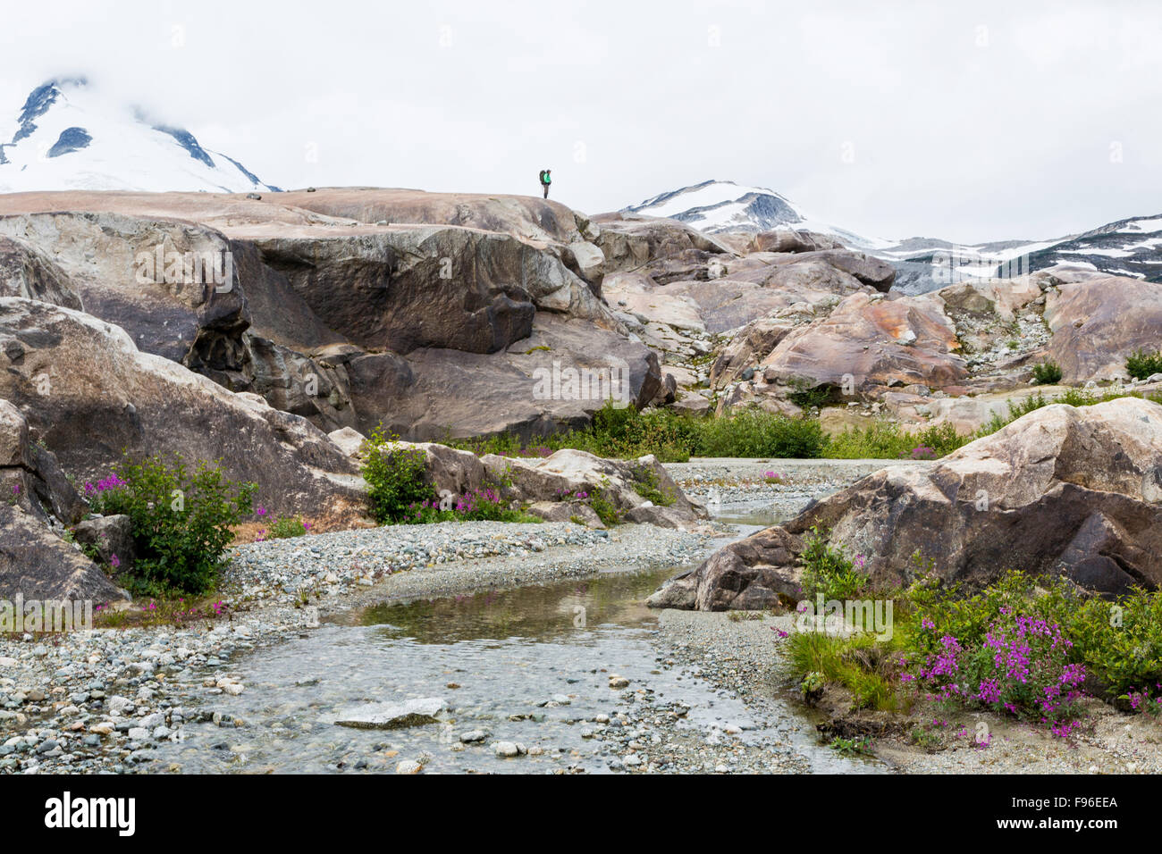 British Columbia, Canada, Chilcotin region, hiking, moraine landscape ...