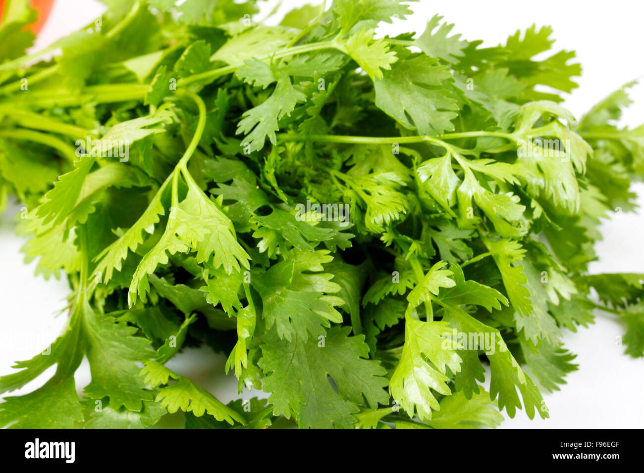 Tomato and cucumber with green coriandr Stock Photo - Alamy