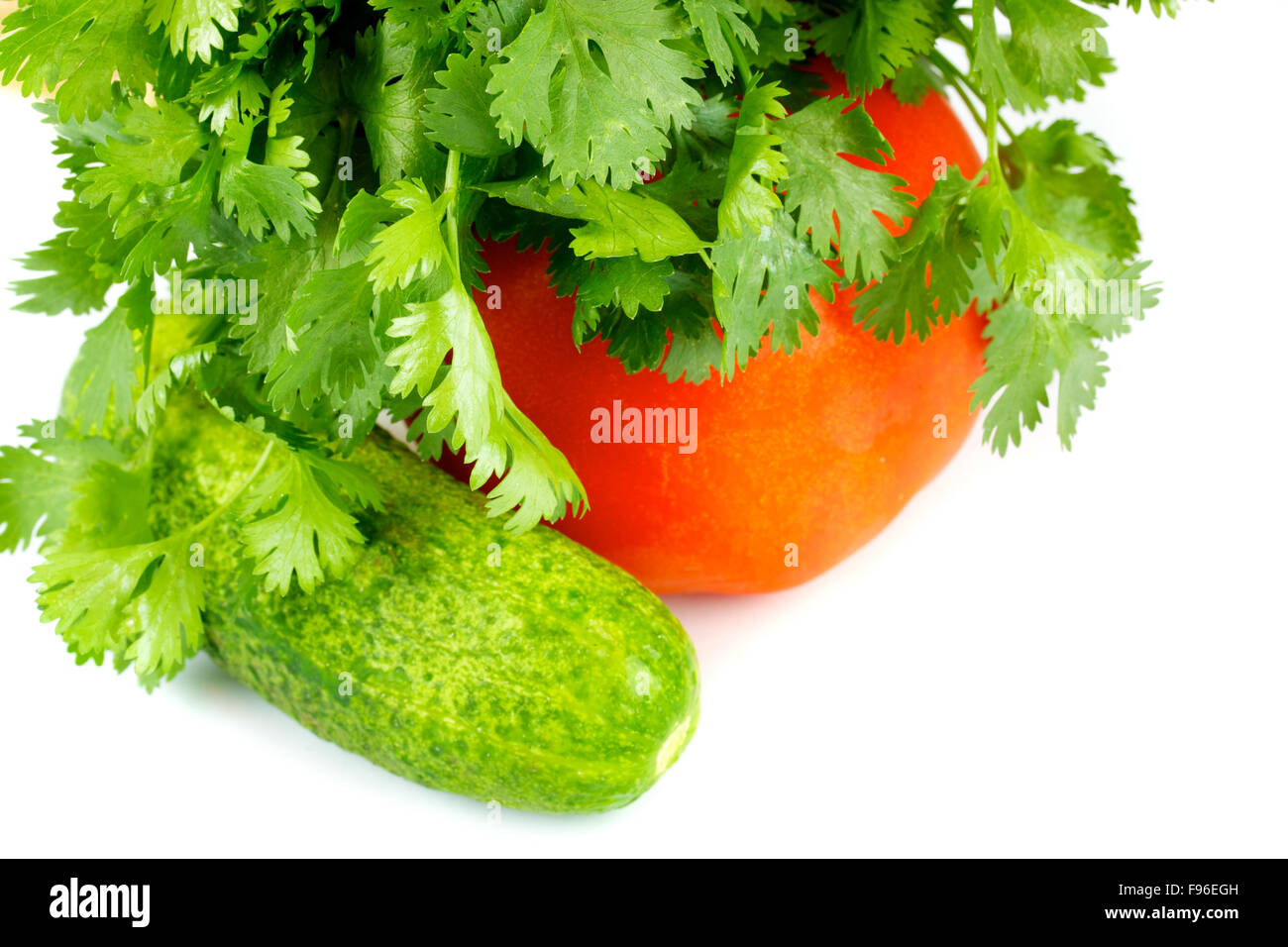 Tomato and cucumber with green coriandr Stock Photo - Alamy