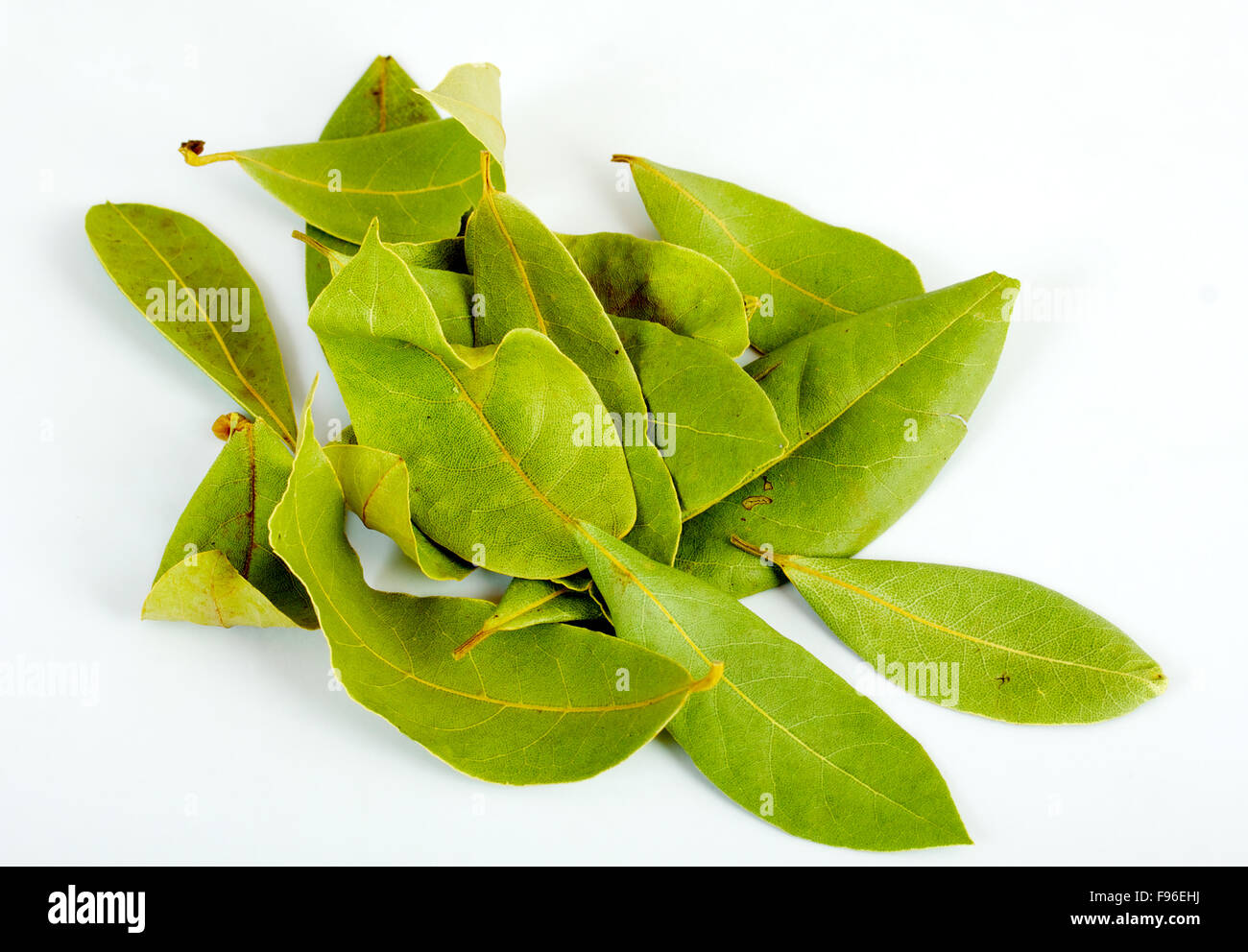 Laurel leaves isolated on white background Stock Photo - Alamy