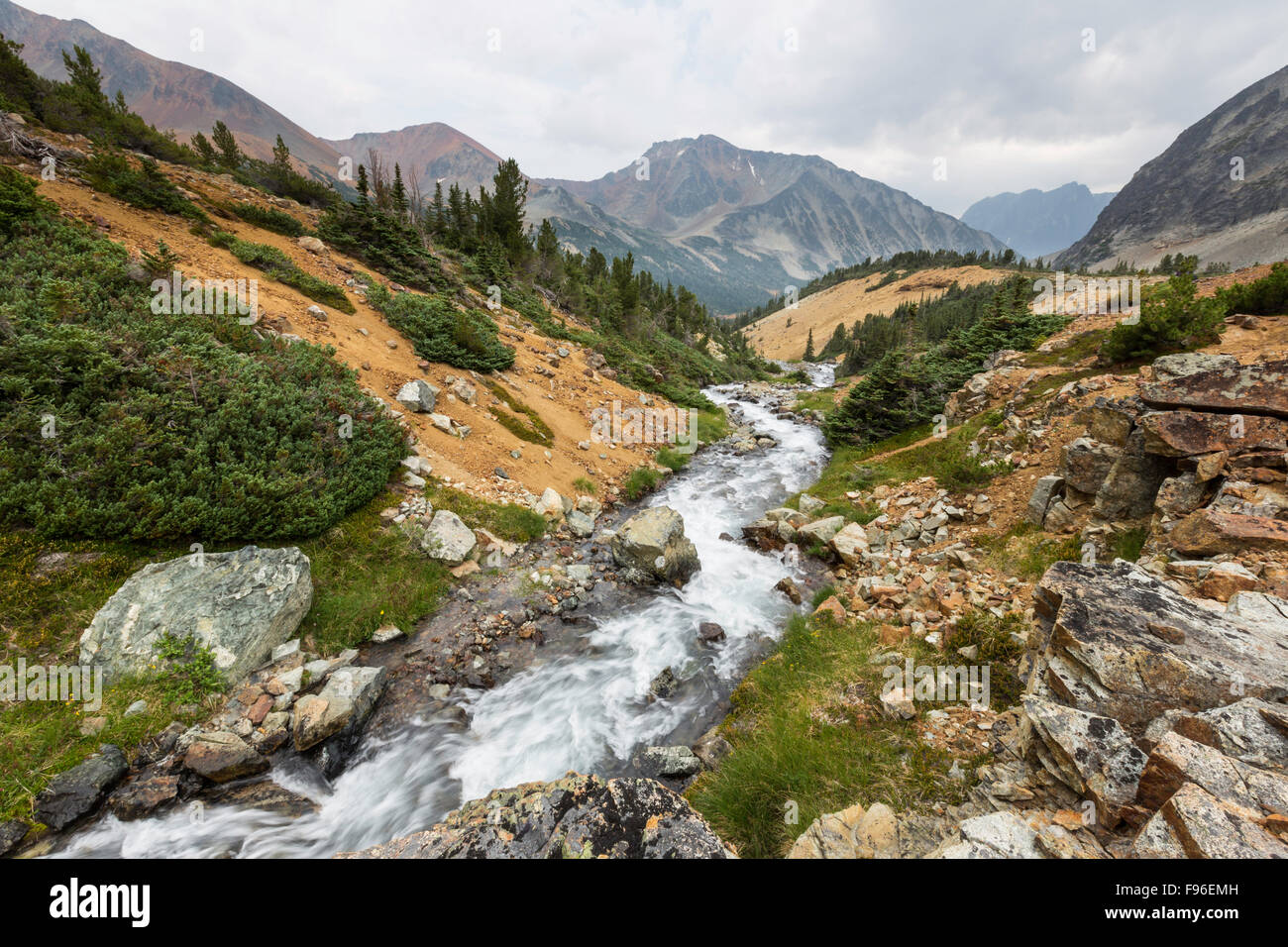 Canada, British Columbia, alpine stream, Niut Range, Coast Mountains ...