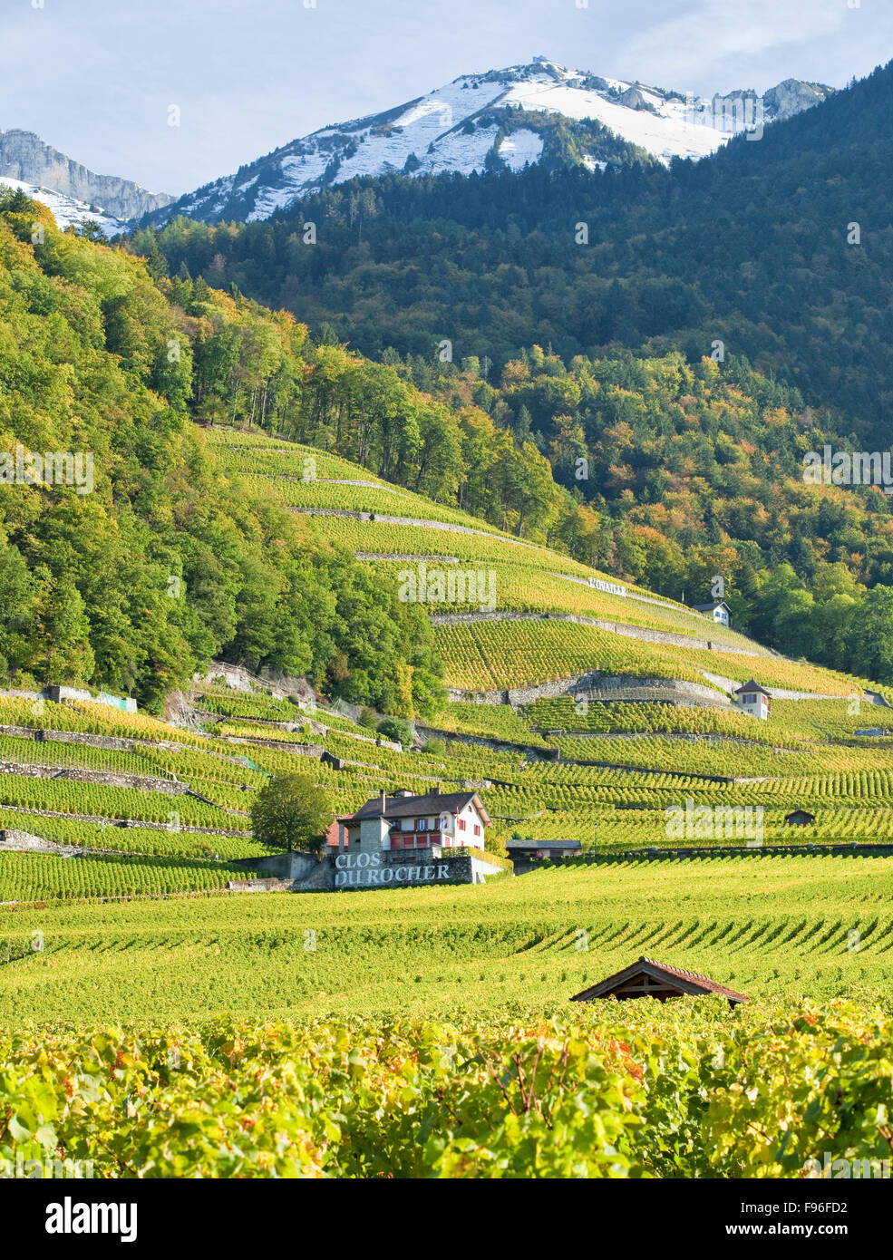 Vineyard rhone valley hi-res stock photography and images - Alamy