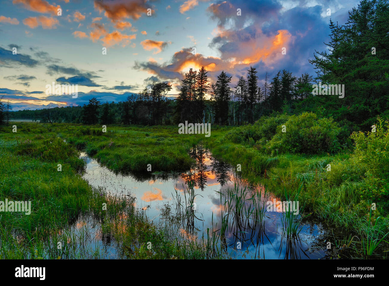 Sudbury canada trees hi-res stock photography and images - Alamy