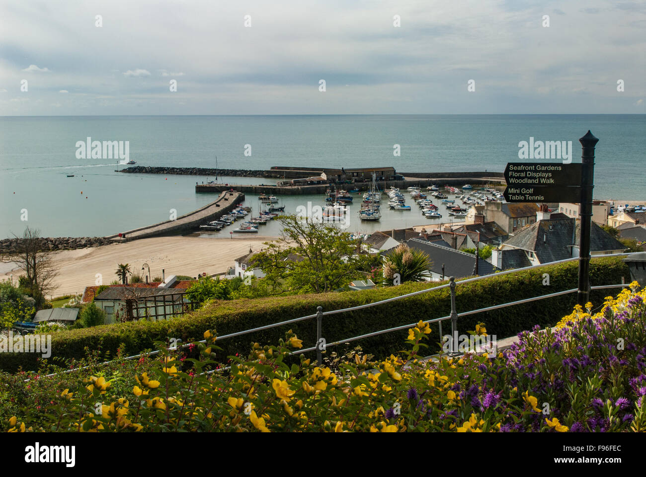 Elevated view towards Lyme Regis harbour and Cob, Devon, England, UK ...