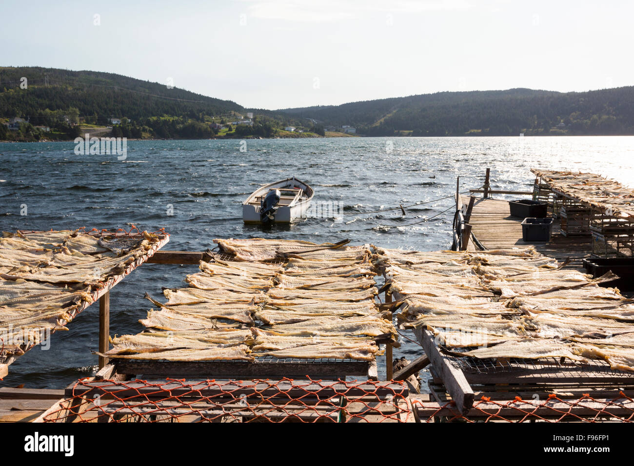 Cod drying racks, Heart's Content, Newfoundland, Canada Stock Photo - Alamy