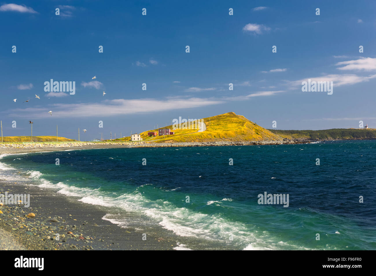 Ferryland newfoundland hi-res stock photography and images - Alamy