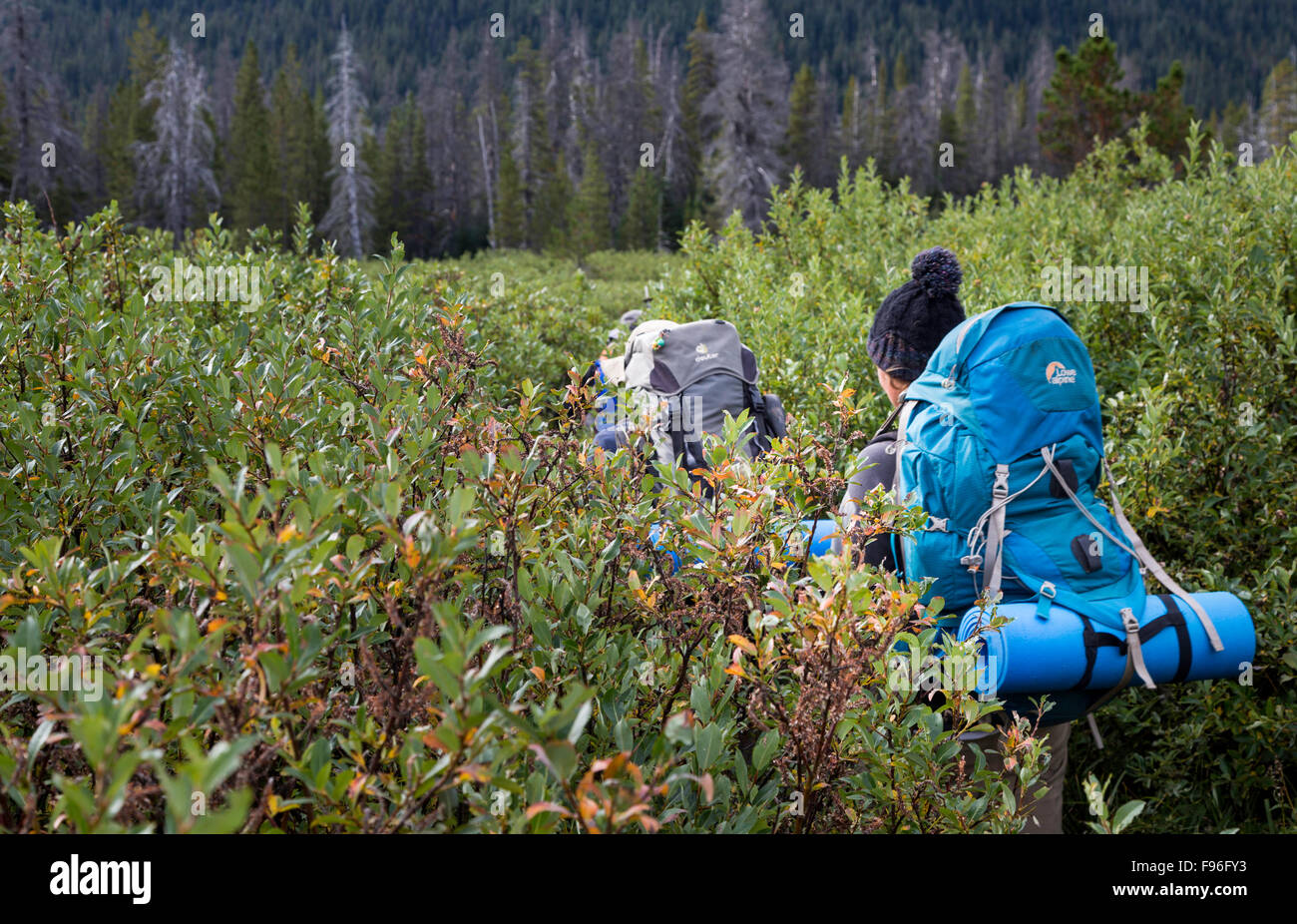 Canada, British Columbia, Tweedsmuir Park, Chilcotin region, Chilcotin ...