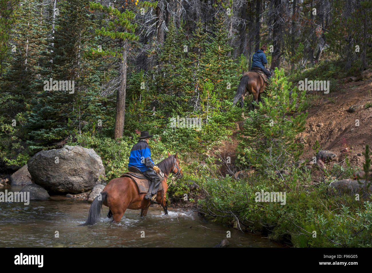 Chilcotin horse hi-res stock photography and images - Alamy