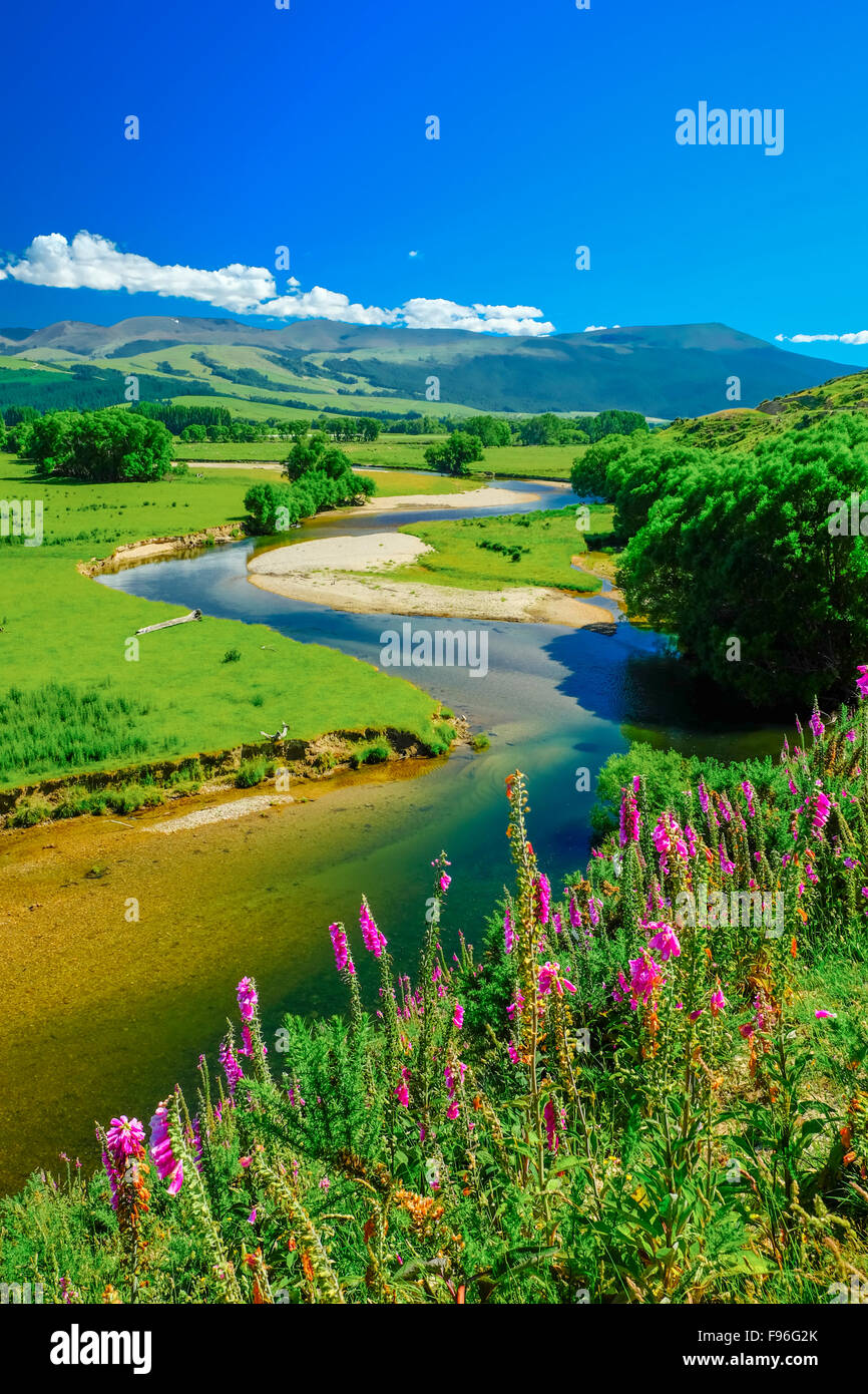 Waikaia Valley, South Island, New Zealand Stock Photo - Alamy