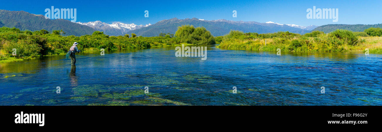 Westland, Spring Creek, South Island, New Zealand Stock Photo - Alamy