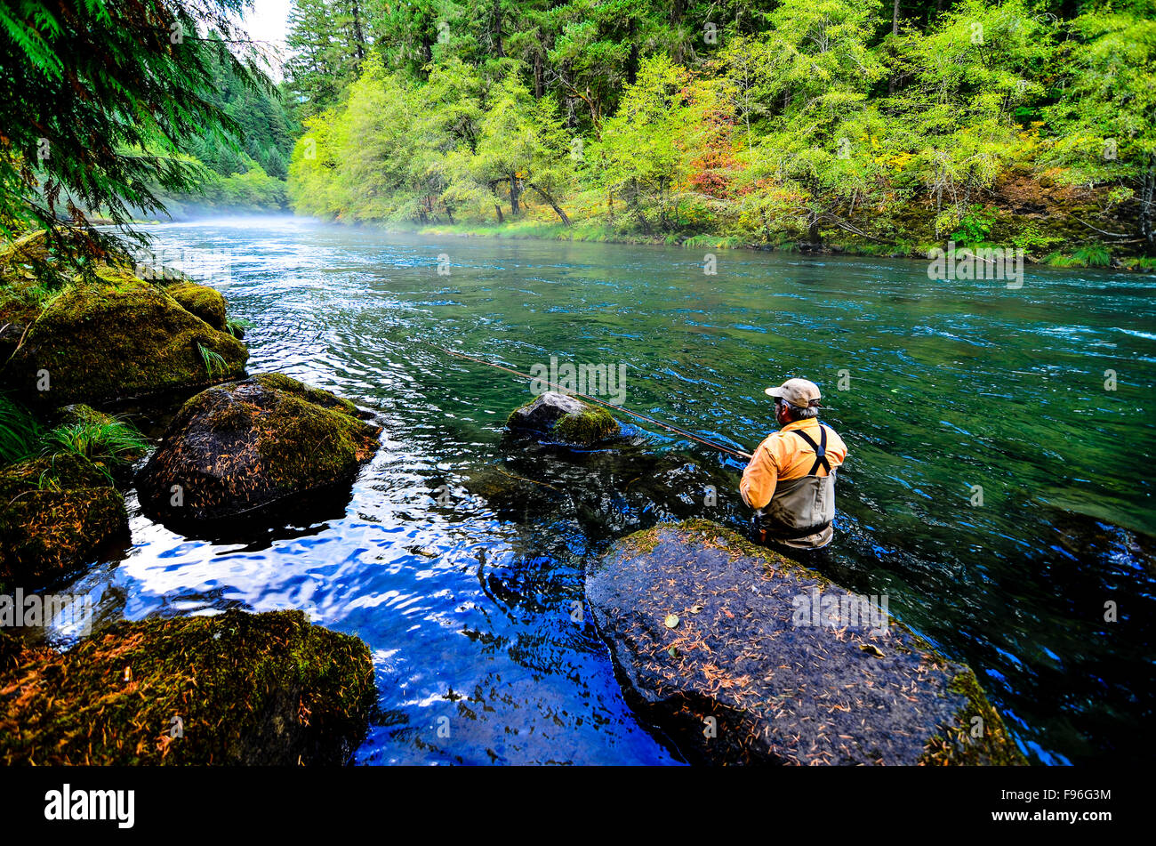 Steelhead Fishing, Umqua River, Oregon, USA Stock Photo - Alamy