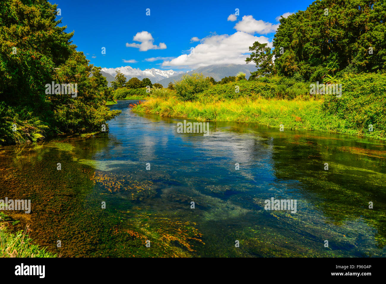 Westland, Spring Creek, South Island, New Zealand Stock Photo - Alamy