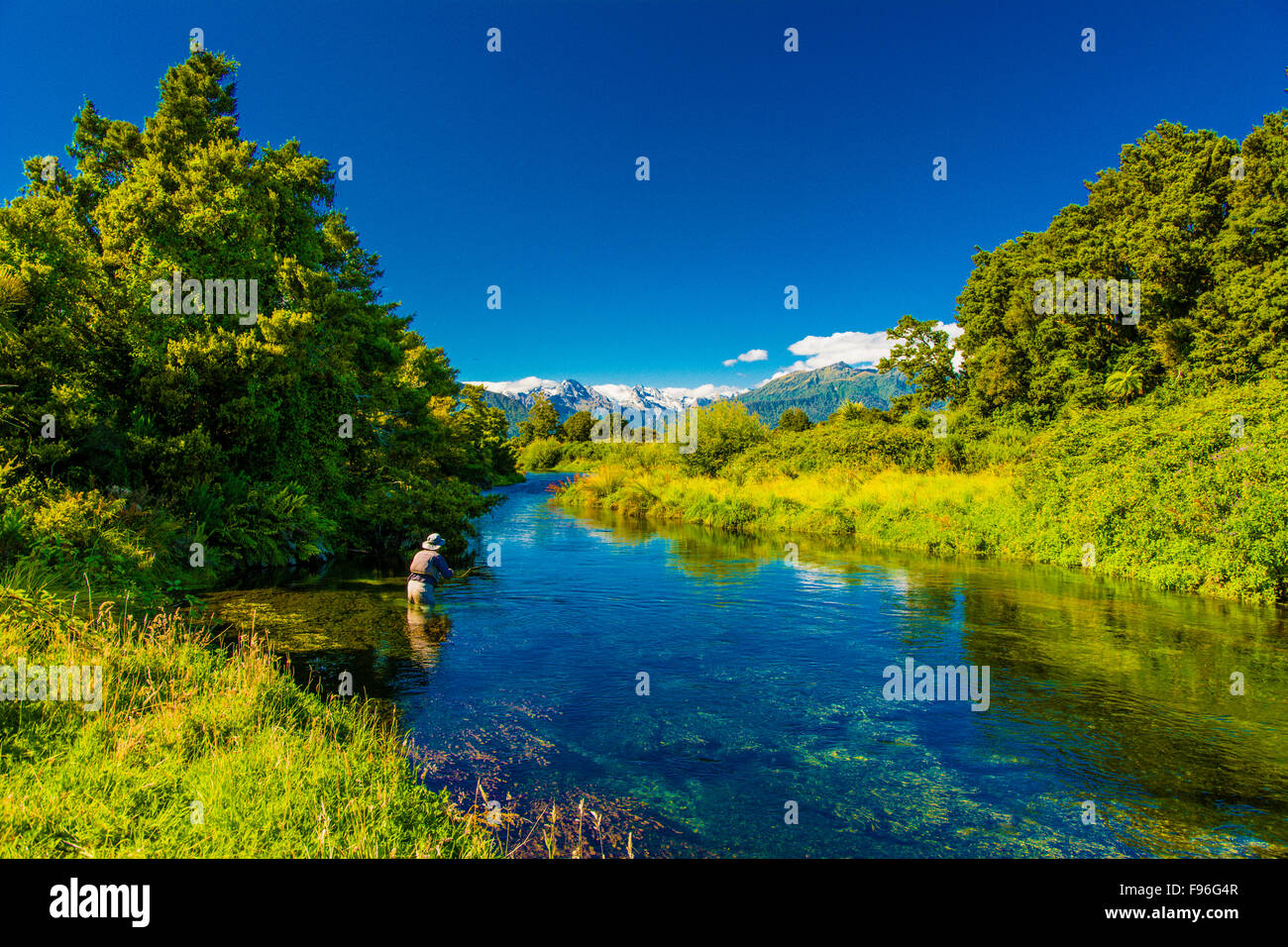 Spring Creek, New Zealand Stock Photo - Alamy