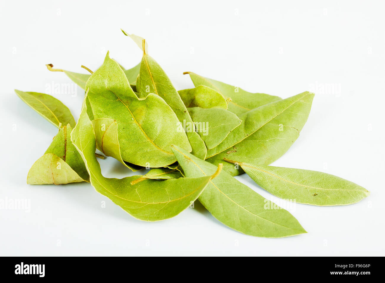 Laurel leaves isolated on white background Stock Photo - Alamy