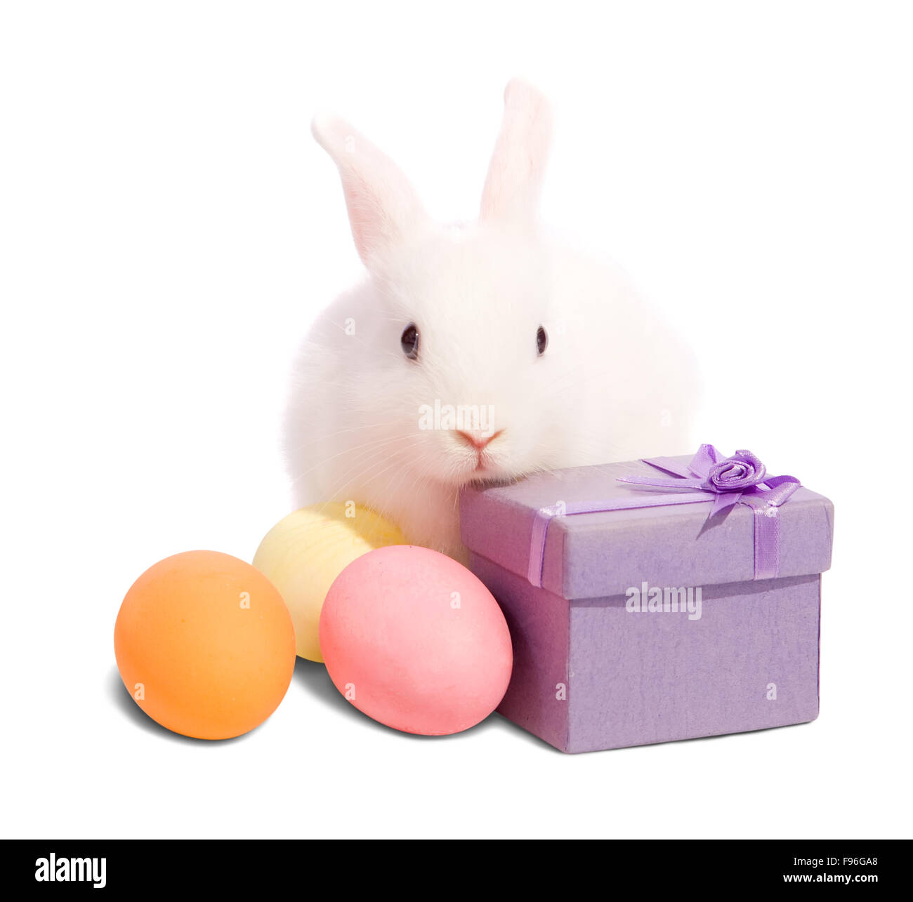 white easter rabbit with present box. Isolated on white background ...