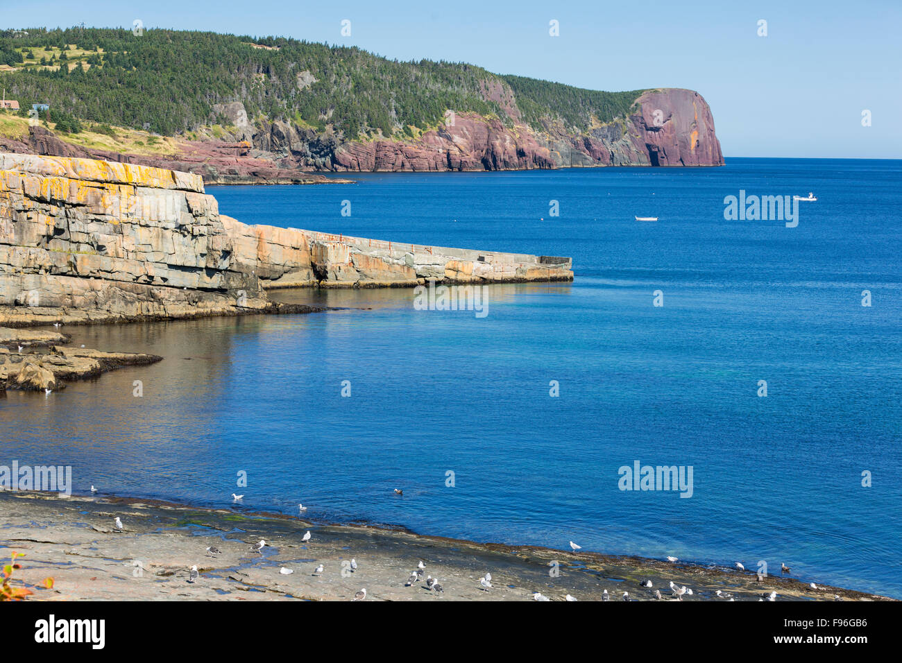 Where Is Flat Rock Newfoundland at Hunter Peacock blog
