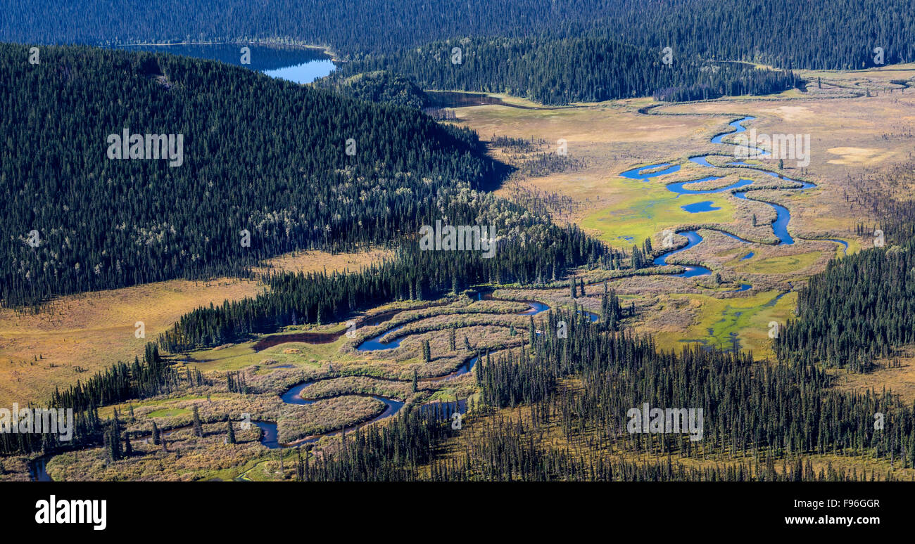 Canada, British Columbia, aerial photography, Bowron River marsh ...