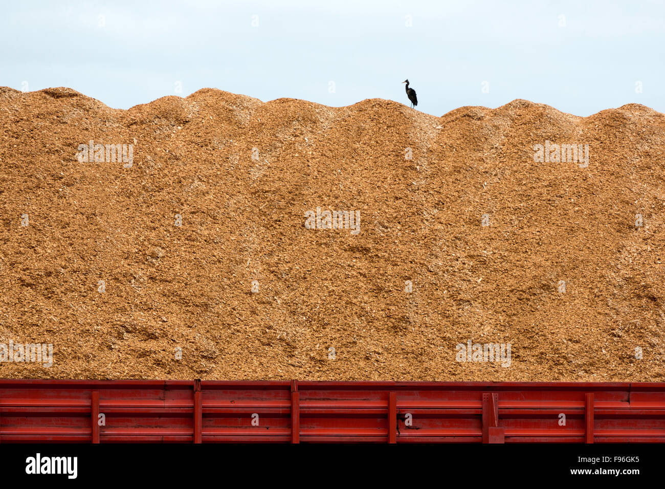 Chip barge hi-res stock photography and images - Alamy