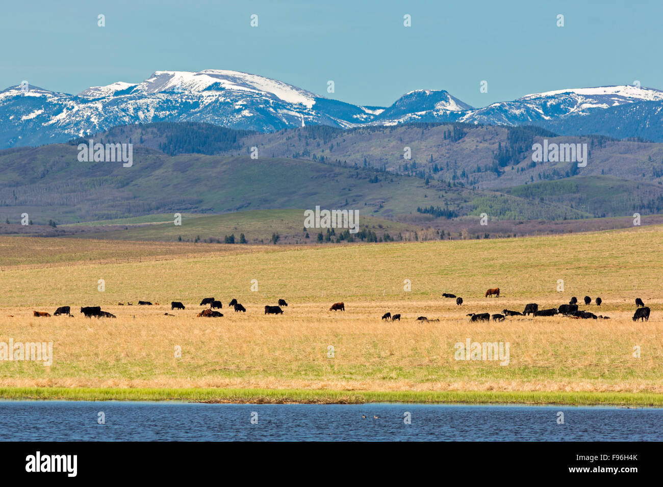 Longview alberta hi-res stock photography and images - Alamy