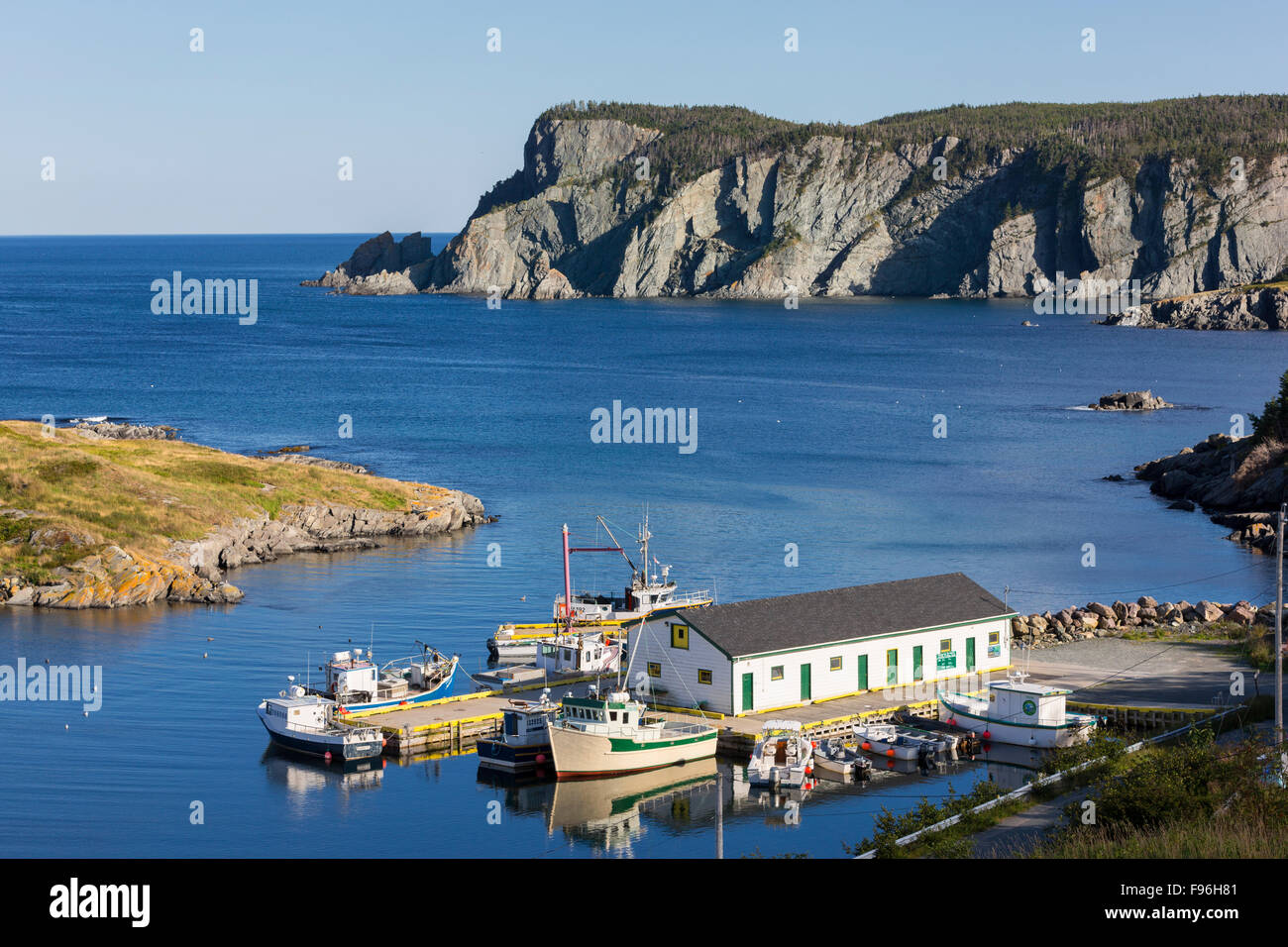 Fishing boats tied up at wharf, Brigus South, Newfoundland, Canada ...