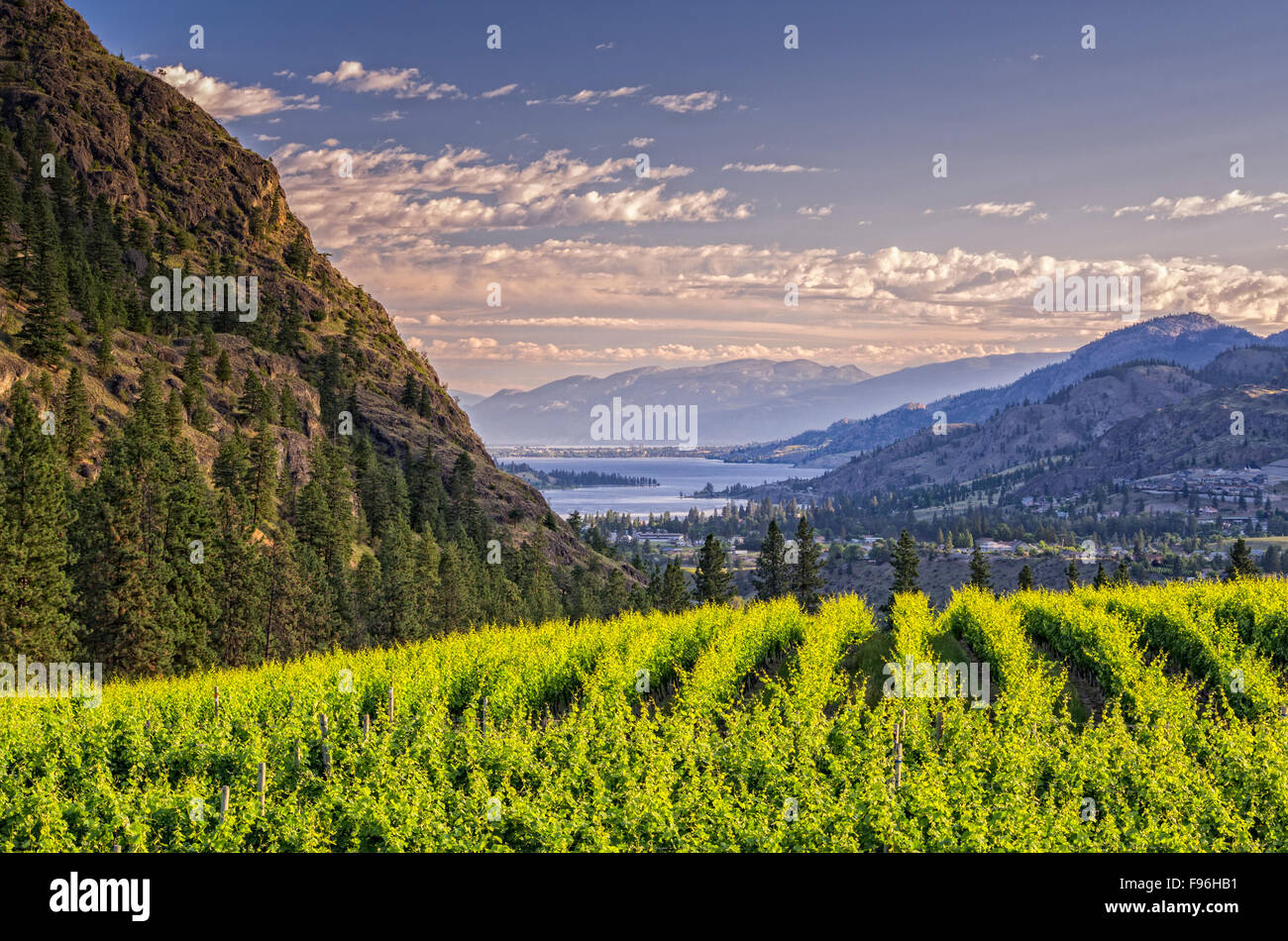 Vineyards with mountains and Skaha Lake from Okanagan Falls in the ...
