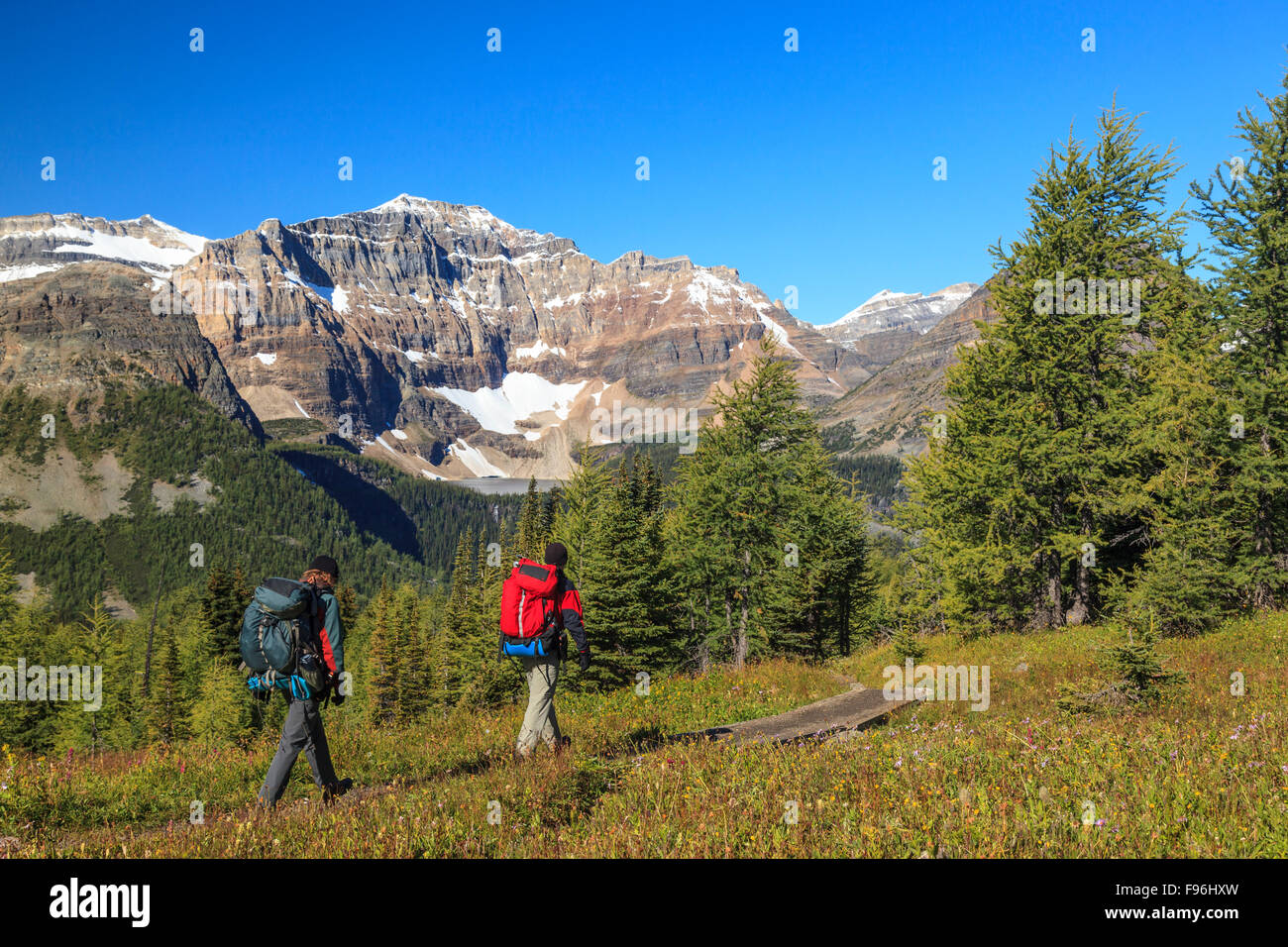 Back trail hi-res stock photography and images - Alamy