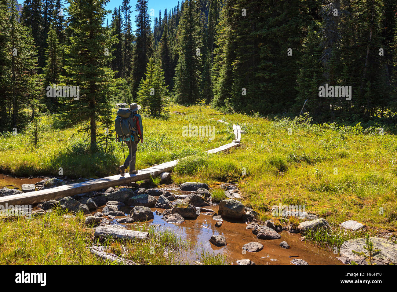 A back packer hiking the Egypt Lake trail in Banff National Park ...