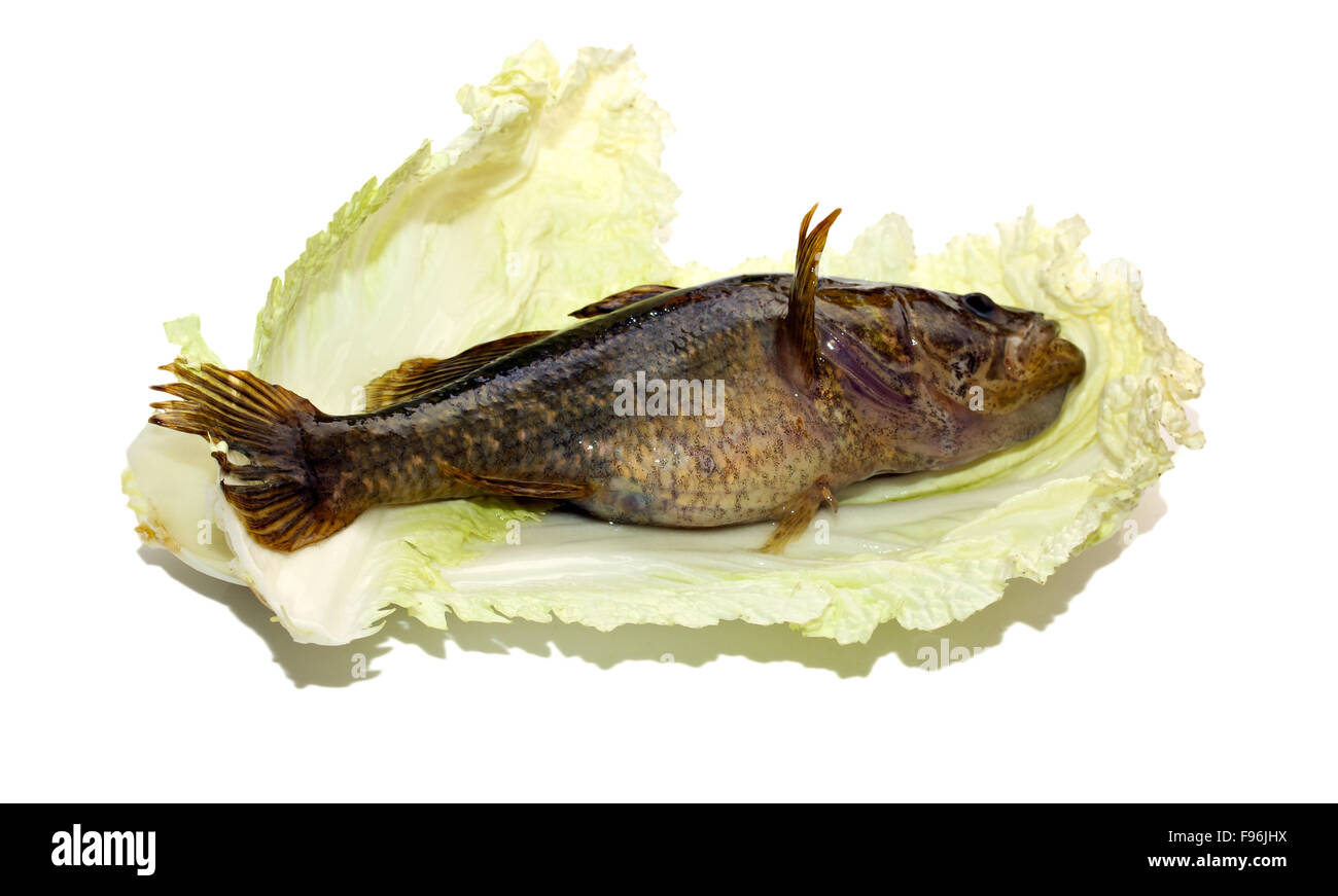 Raw fish isolated on white background Stock Photo - Alamy