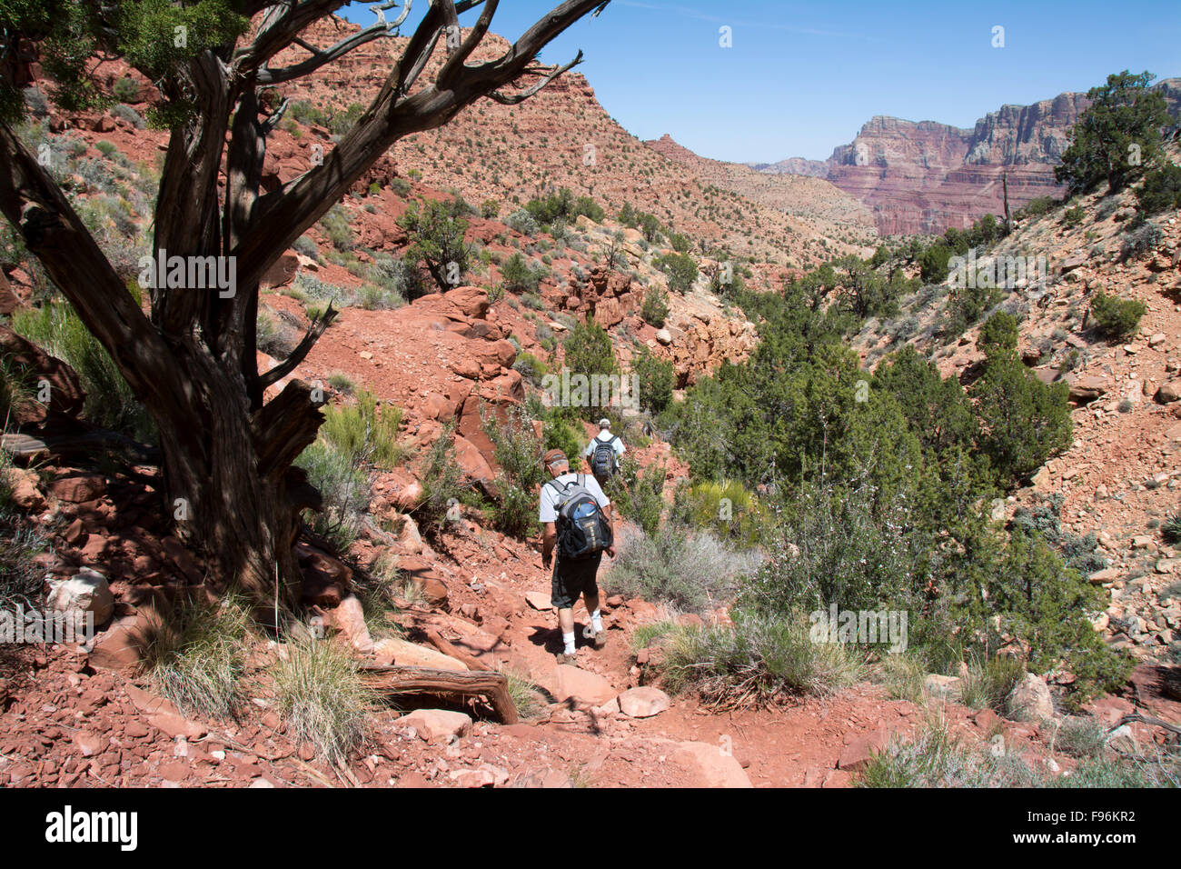 Hiking down the Tanner Trail, Colorado River, Grand Canyon, Arizona ...