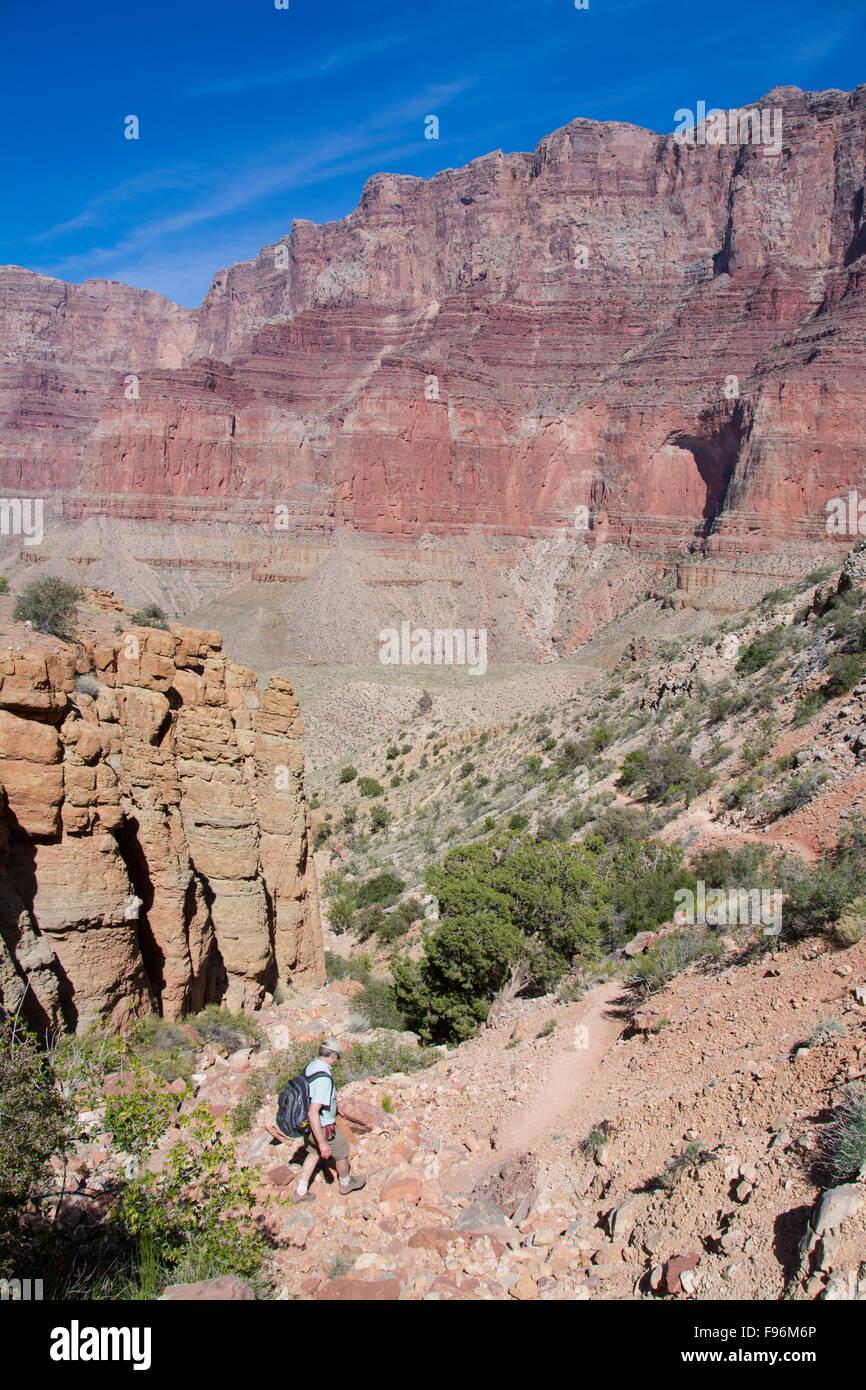 Tanner Trail hiker, Colorado River, Grand Canyon, Arizona, United ...