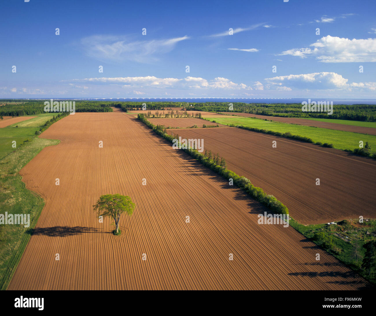 Lower bedeque hi-res stock photography and images - Alamy