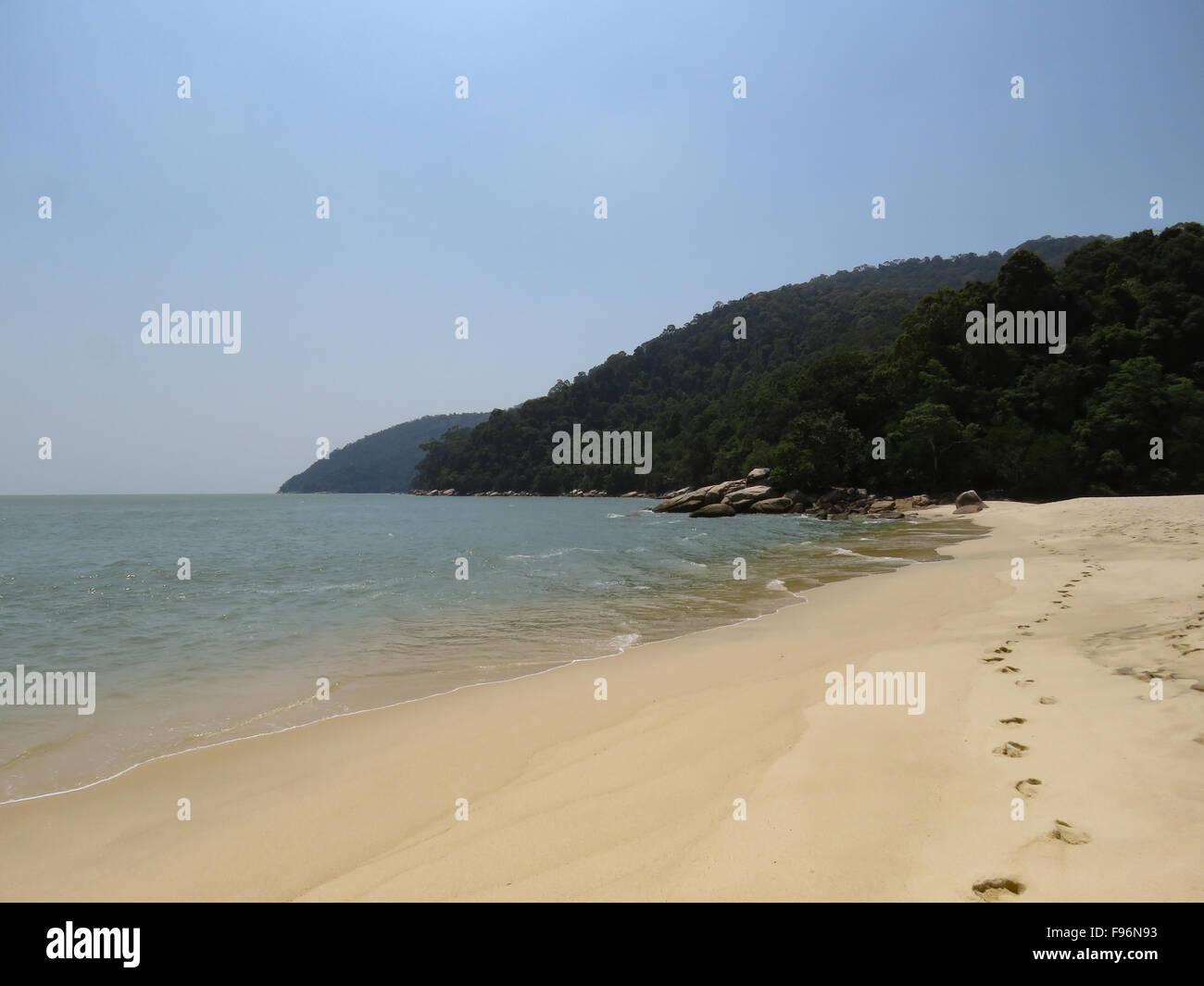 Malaysia penang national park hi-res stock photography and images - Alamy