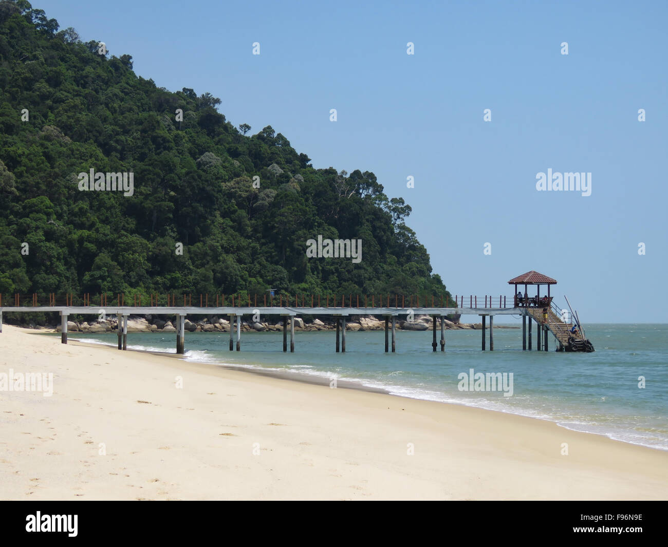 Penang national park, Malaysia Stock Photo - Alamy