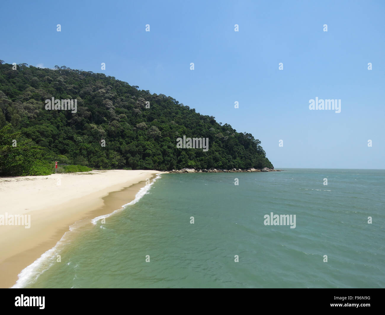 Penang national park, Malaysia Stock Photo - Alamy