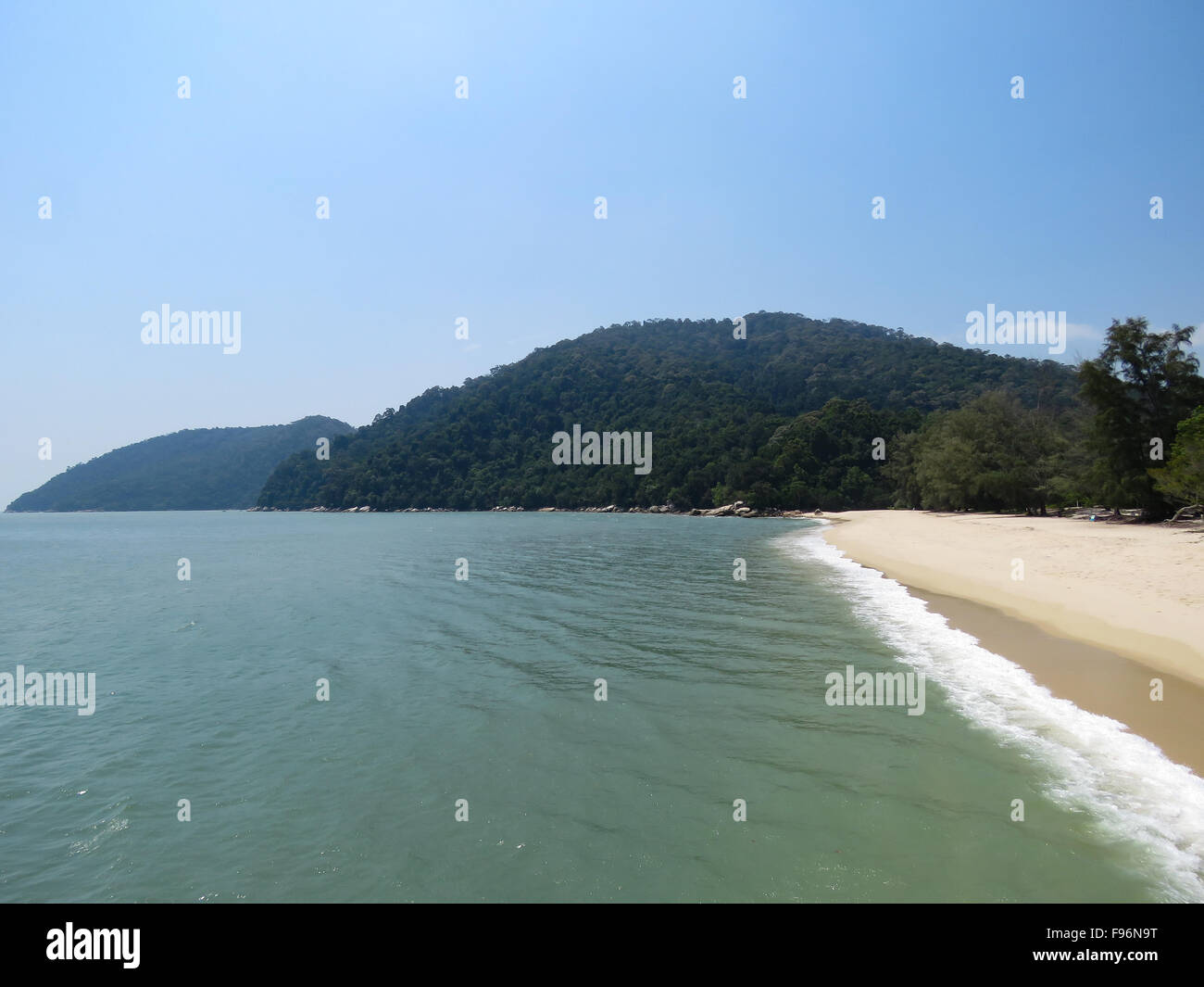 Penang national park, Malaysia Stock Photo - Alamy