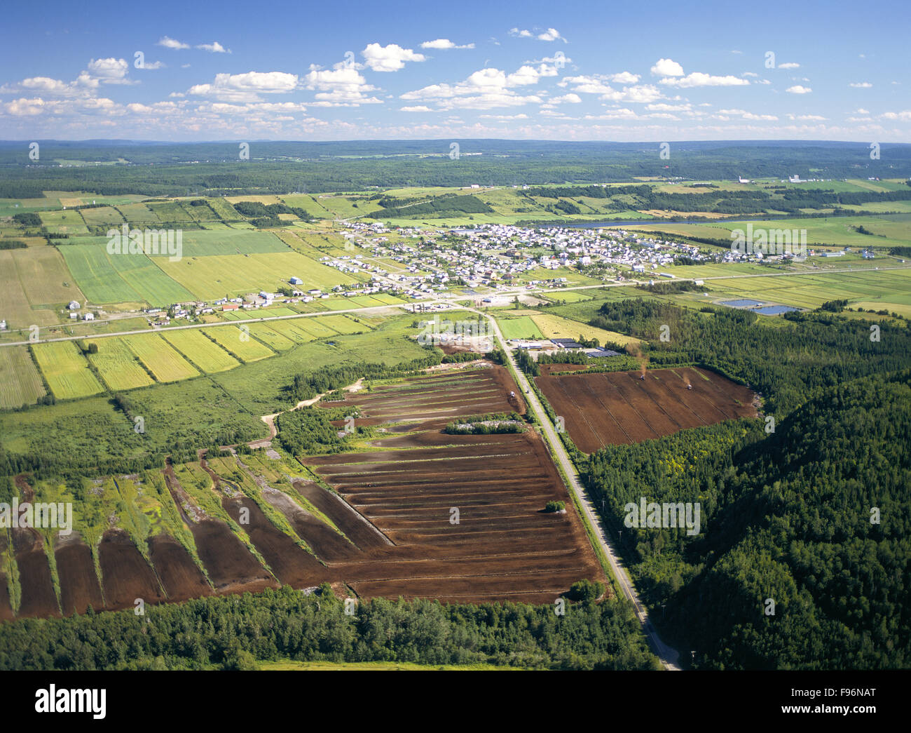 peat bog, SaintFabien, Quebec, Canada Stock Photo - Alamy