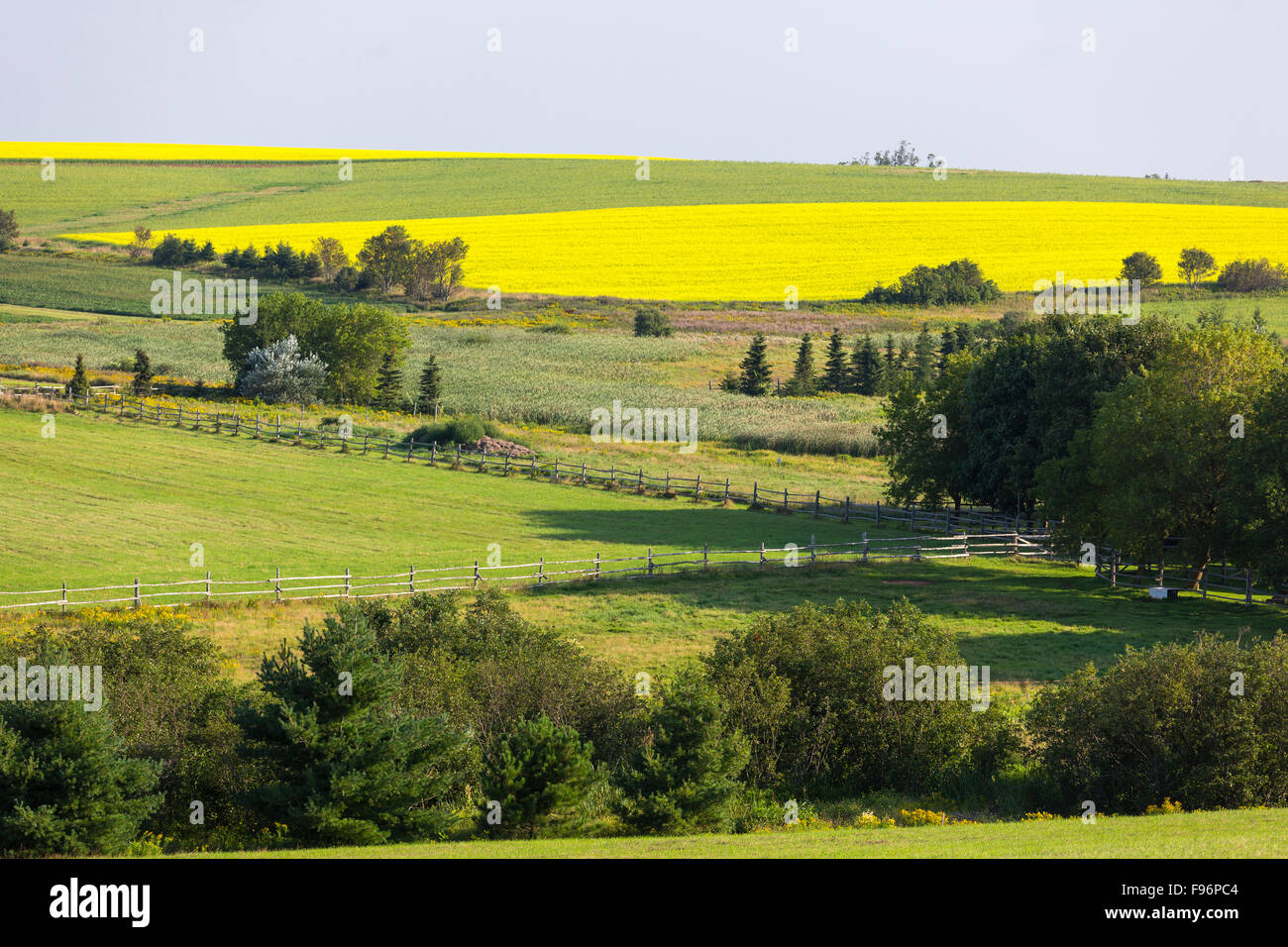 Farm fields, Margate, Prince Edward Island, Canada Stock Photo - Alamy