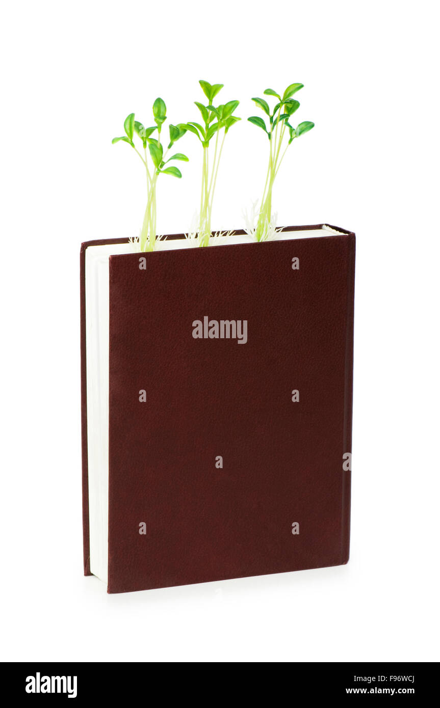 Cover seedlings Cut Out Stock Images & Pictures - Alamy