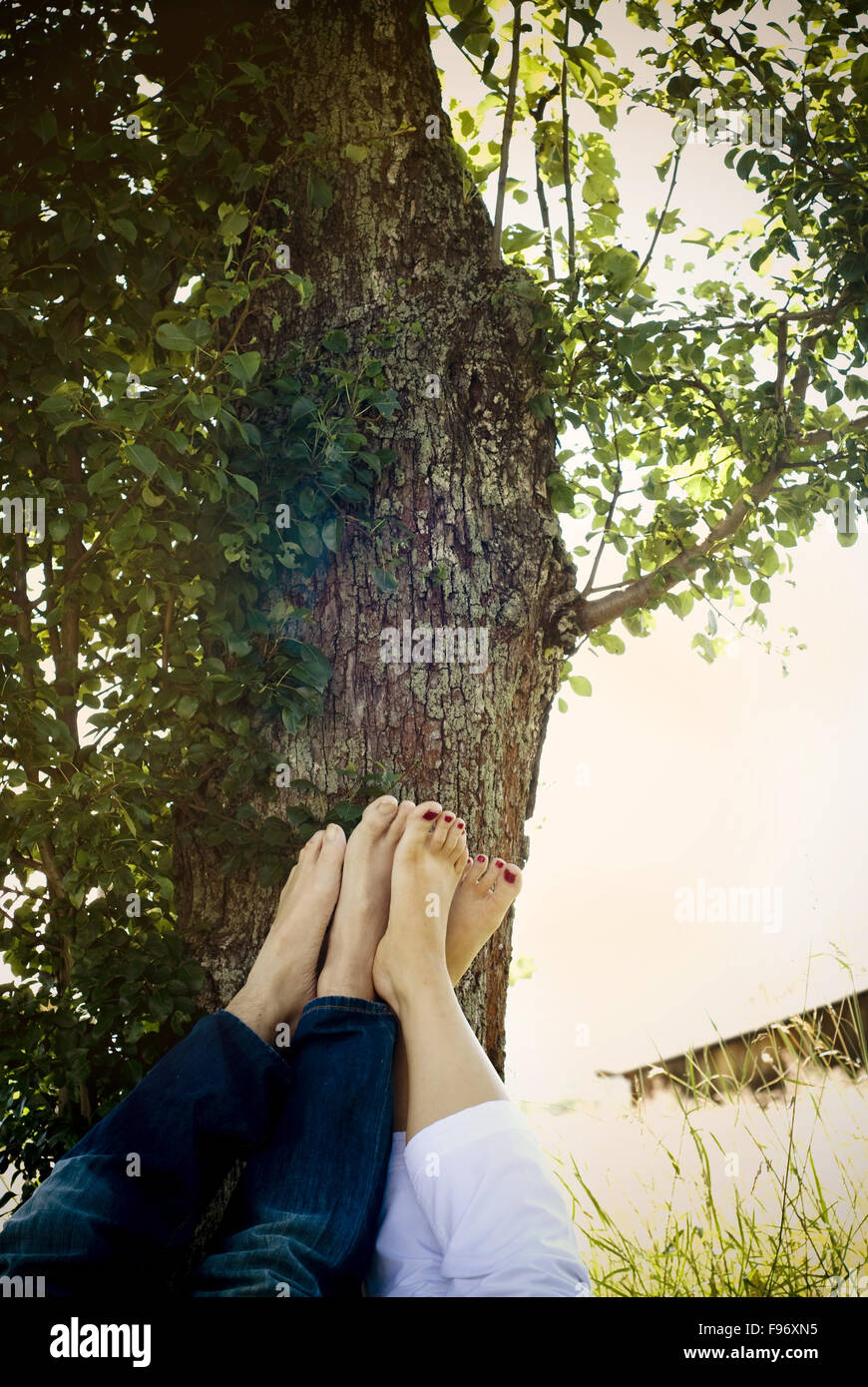 Close up of bare feet of young couple lying in park under the tree ...