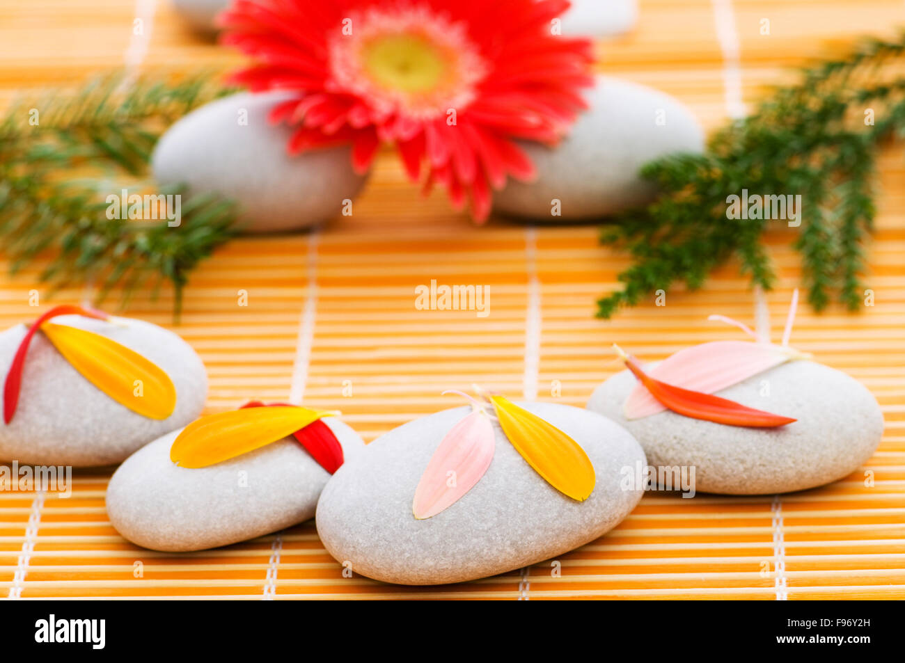 Red flower and stack of spa pebbles Stock Photo - Alamy