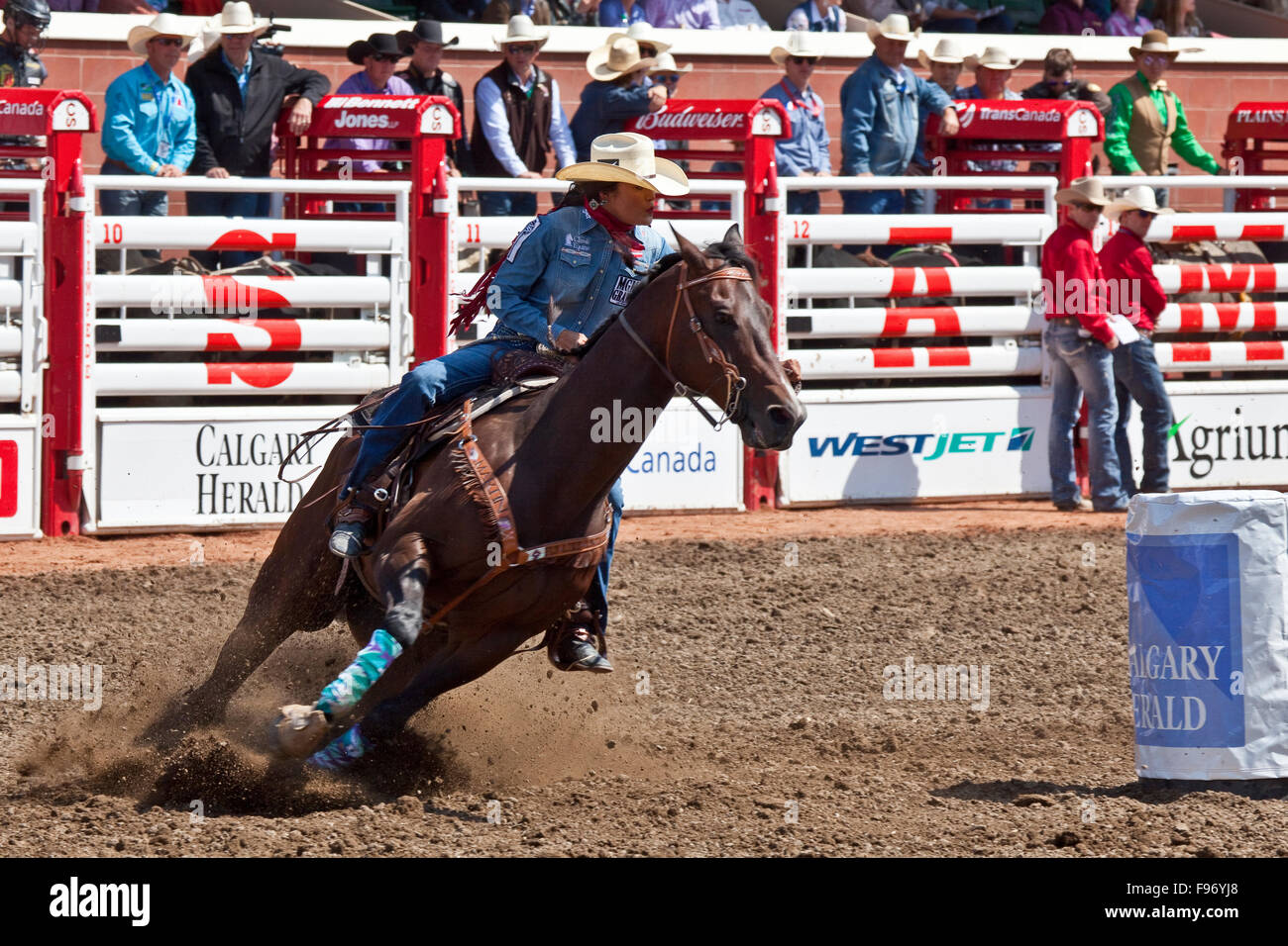 Rodeo, 2015 Calgary Stampede, Calgary, Alberta, Canada Stock Photo - Alamy