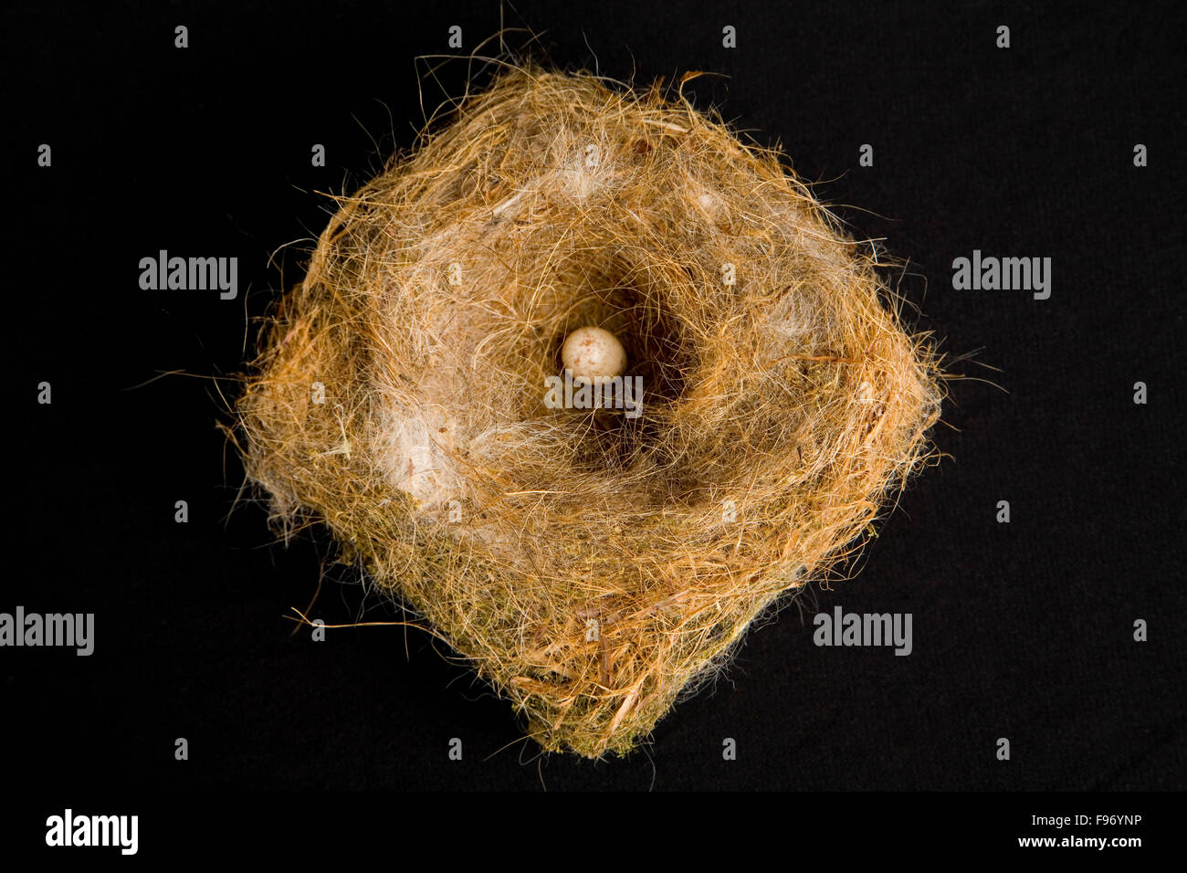 Diamond shape hi-res stock photography and images - Alamy