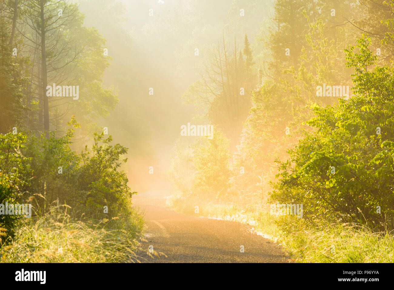 Mist roads hi-res stock photography and images - Alamy