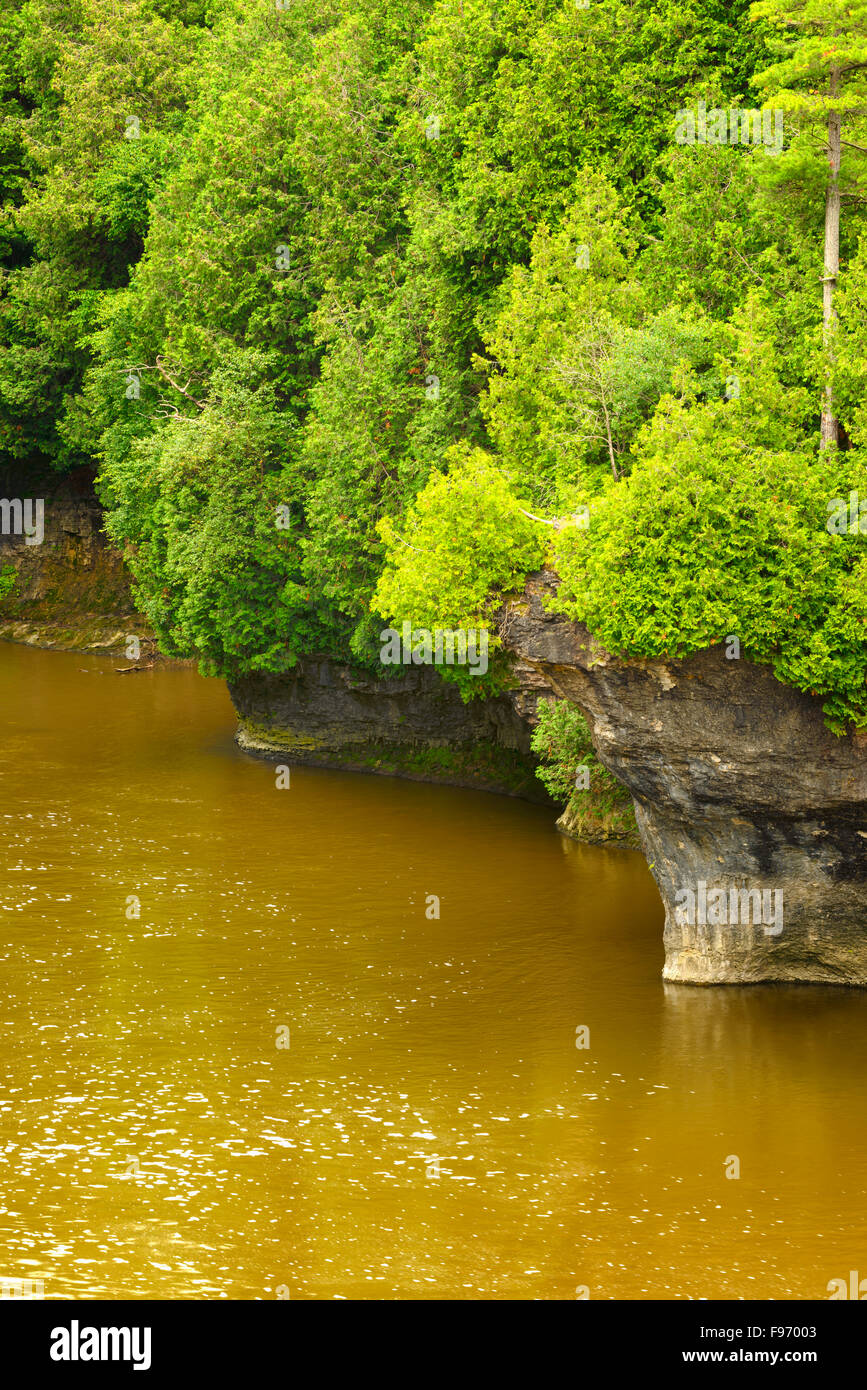 Sedimentary rock formations in the Elora Gorge, Elora, Ontario, Canada ...