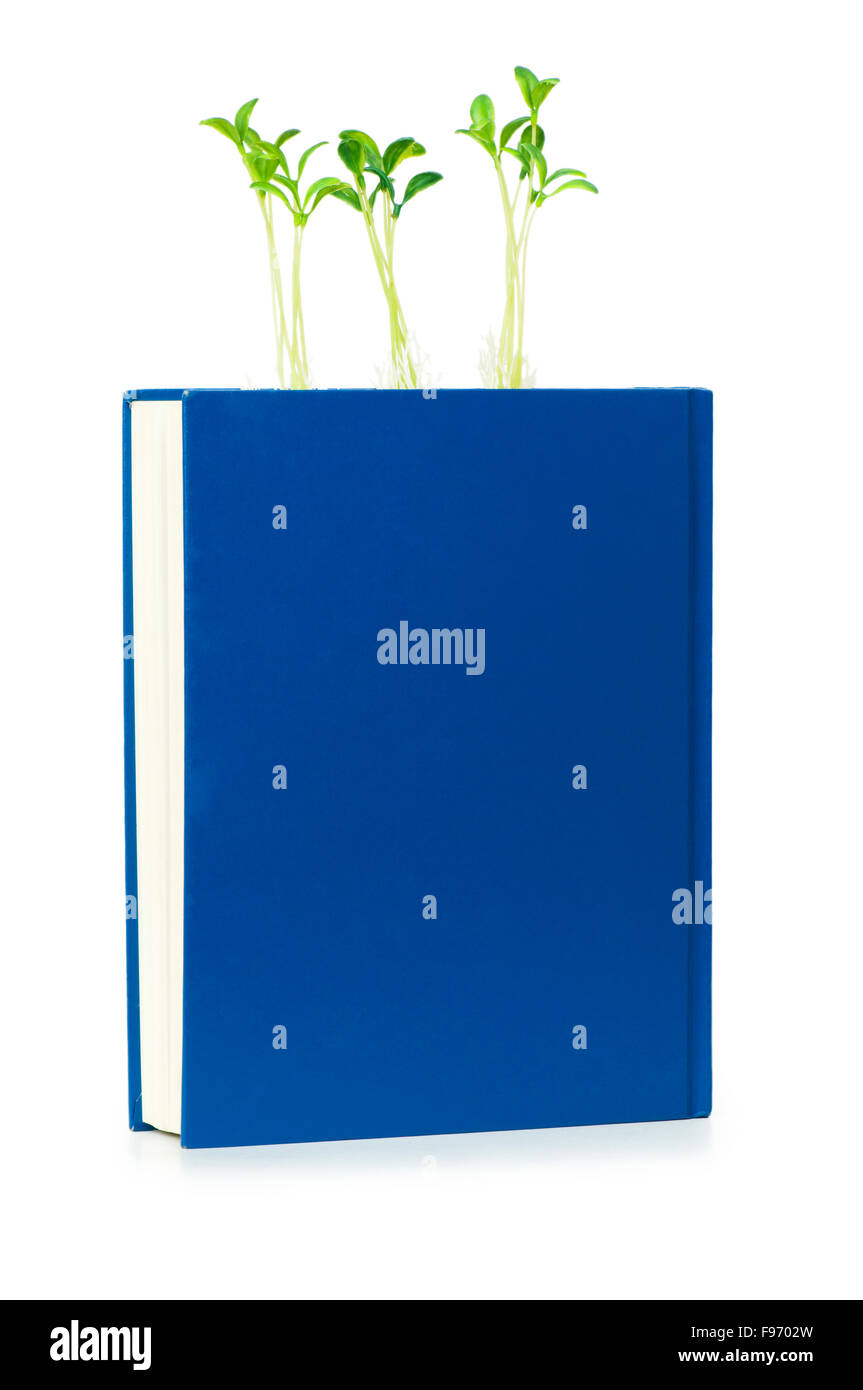 Education concept books growth Cut Out Stock Images & Pictures - Alamy