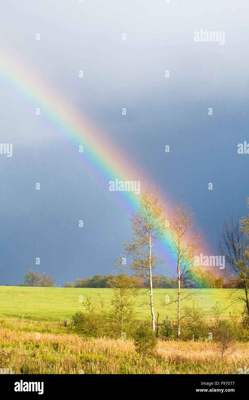 Nimbus canada hi-res stock photography and images - Alamy