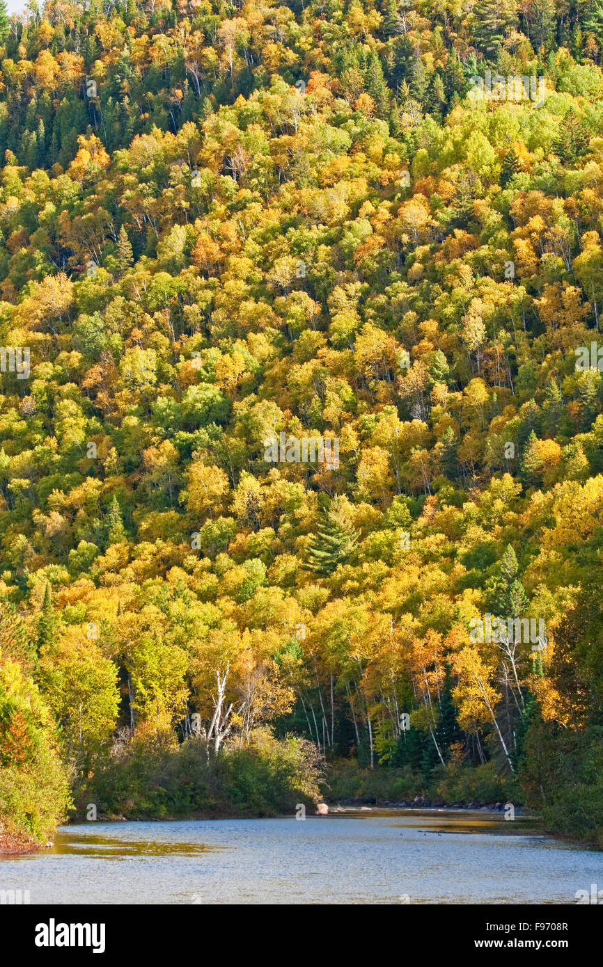 Algoma district hi-res stock photography and images - Alamy