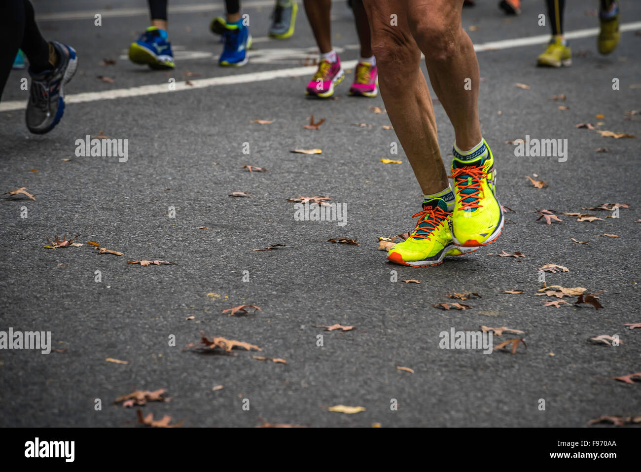 NYC MARATHON, Worlds' largest. Over 50,000 runners complete the event ...