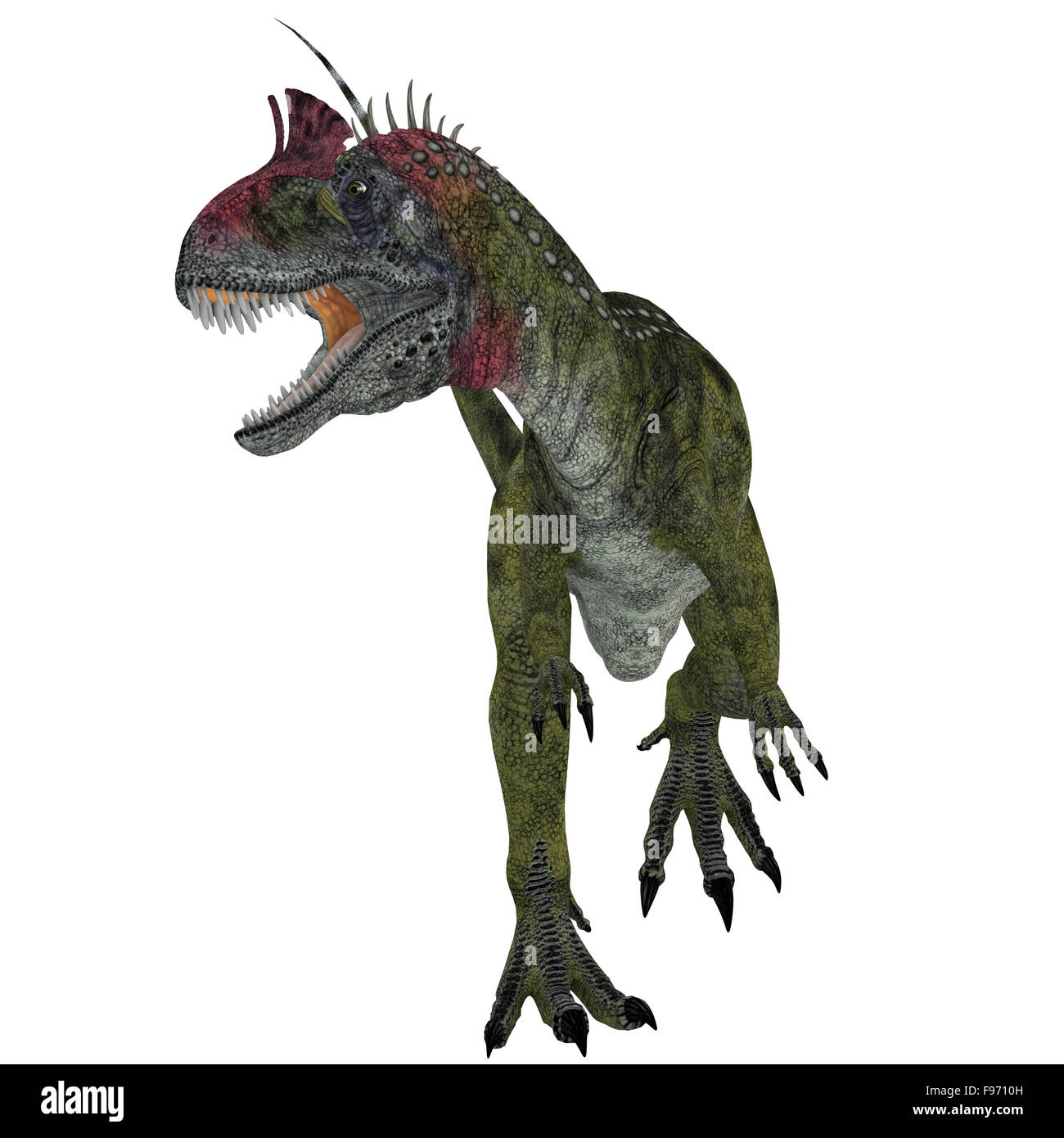 Dinosaur Revolution Cryolophosaurus Female