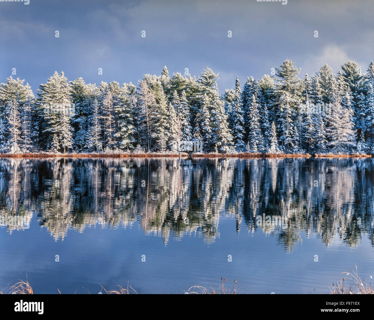 Reflections Of Snow Covered Trees In Water High Resolution Stock ...